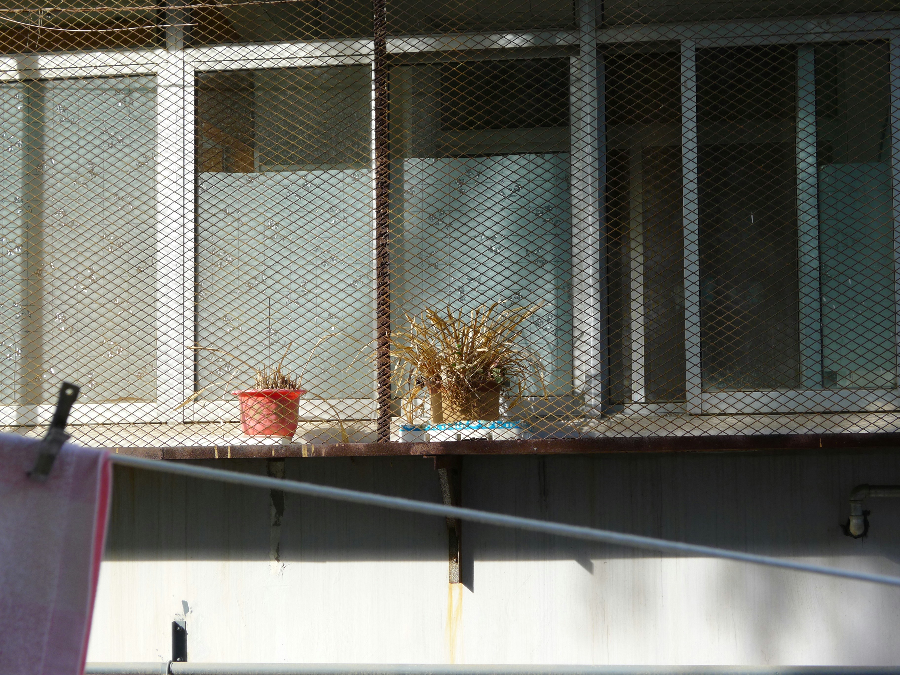 Dried plant and small pot on a shelf.