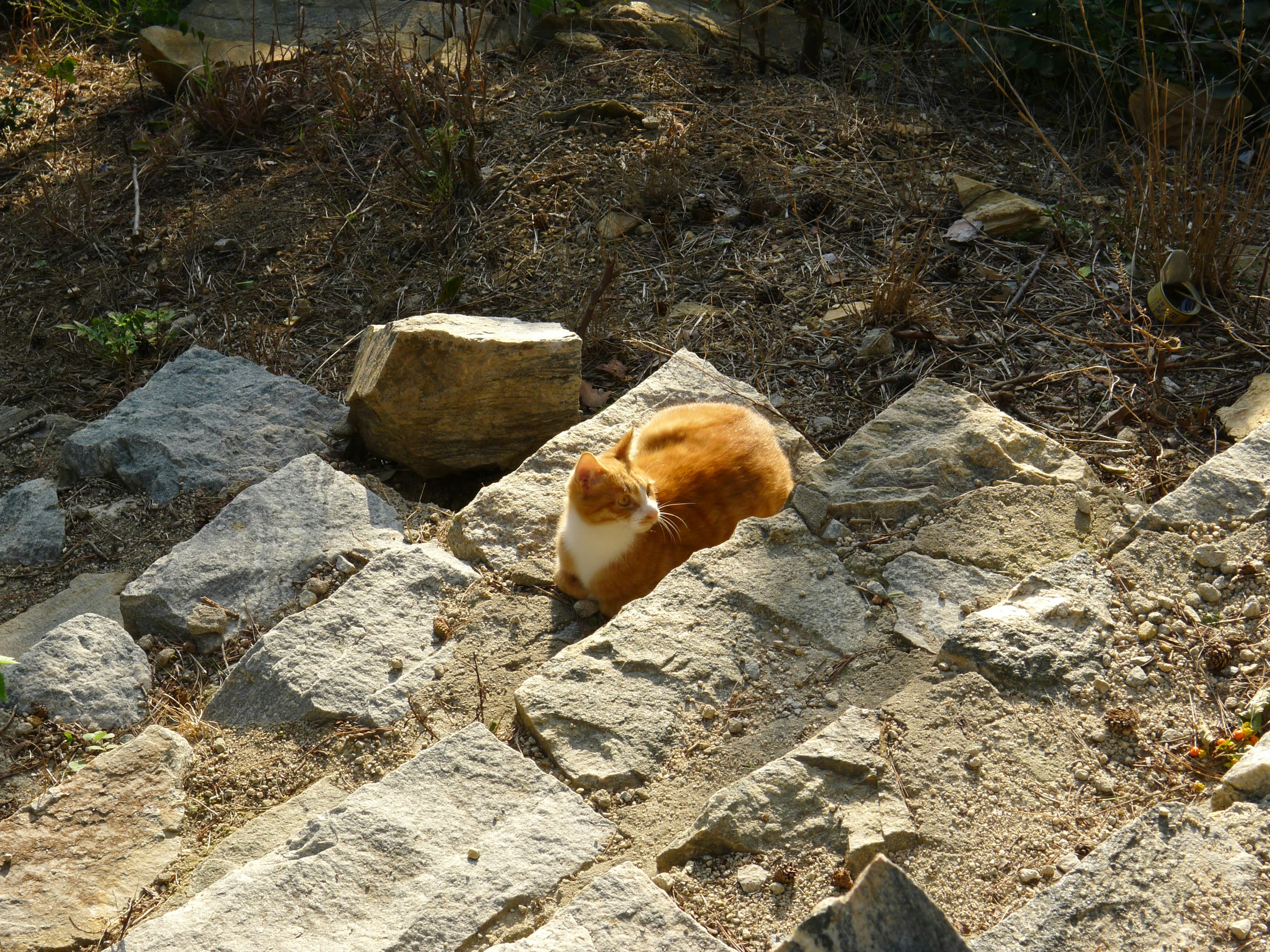 Photo by la la with Panasonic Lumix LX5