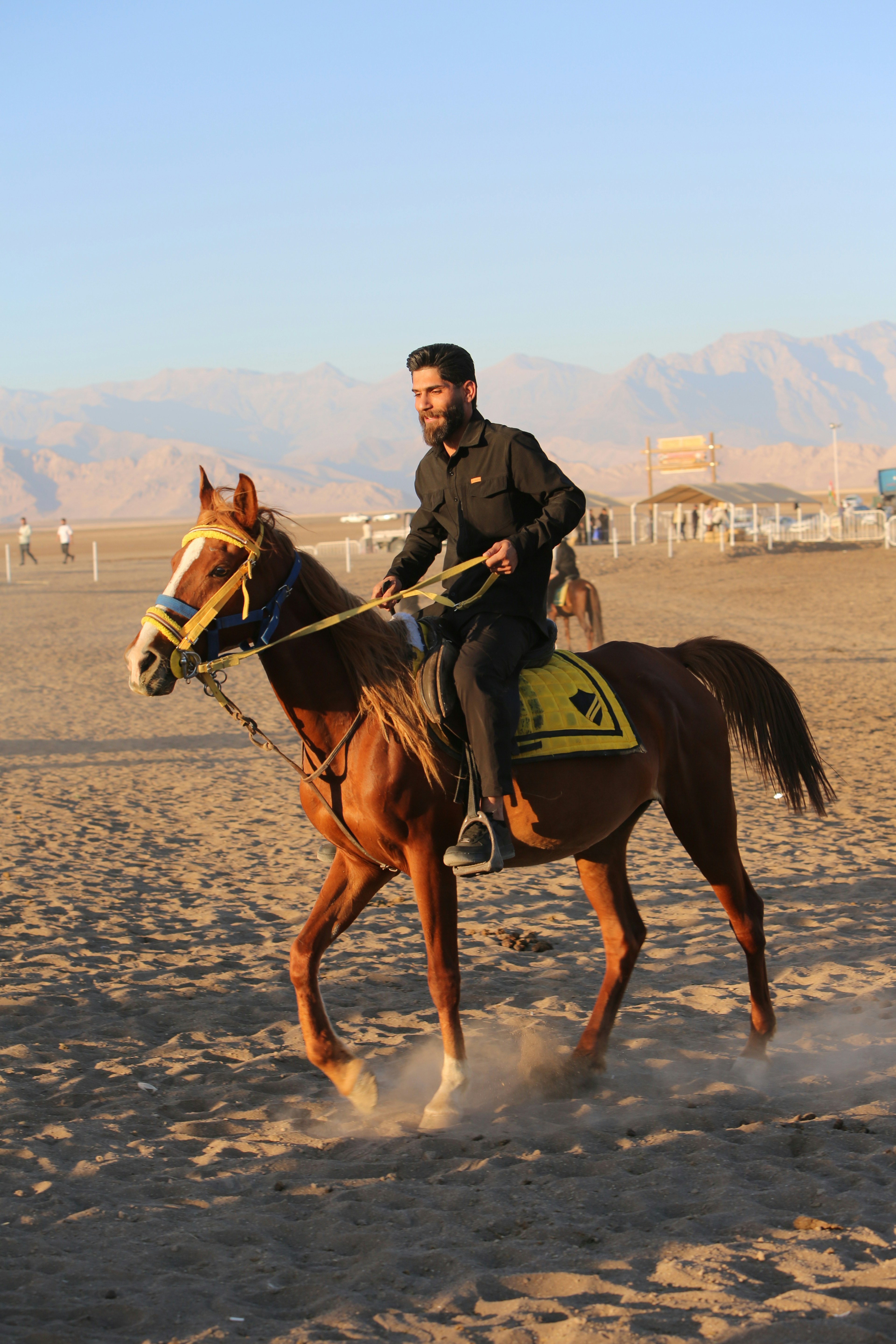 Golden Hour Gallop on Seaside Dunes: A Rider Commands a Chestnut Horse
