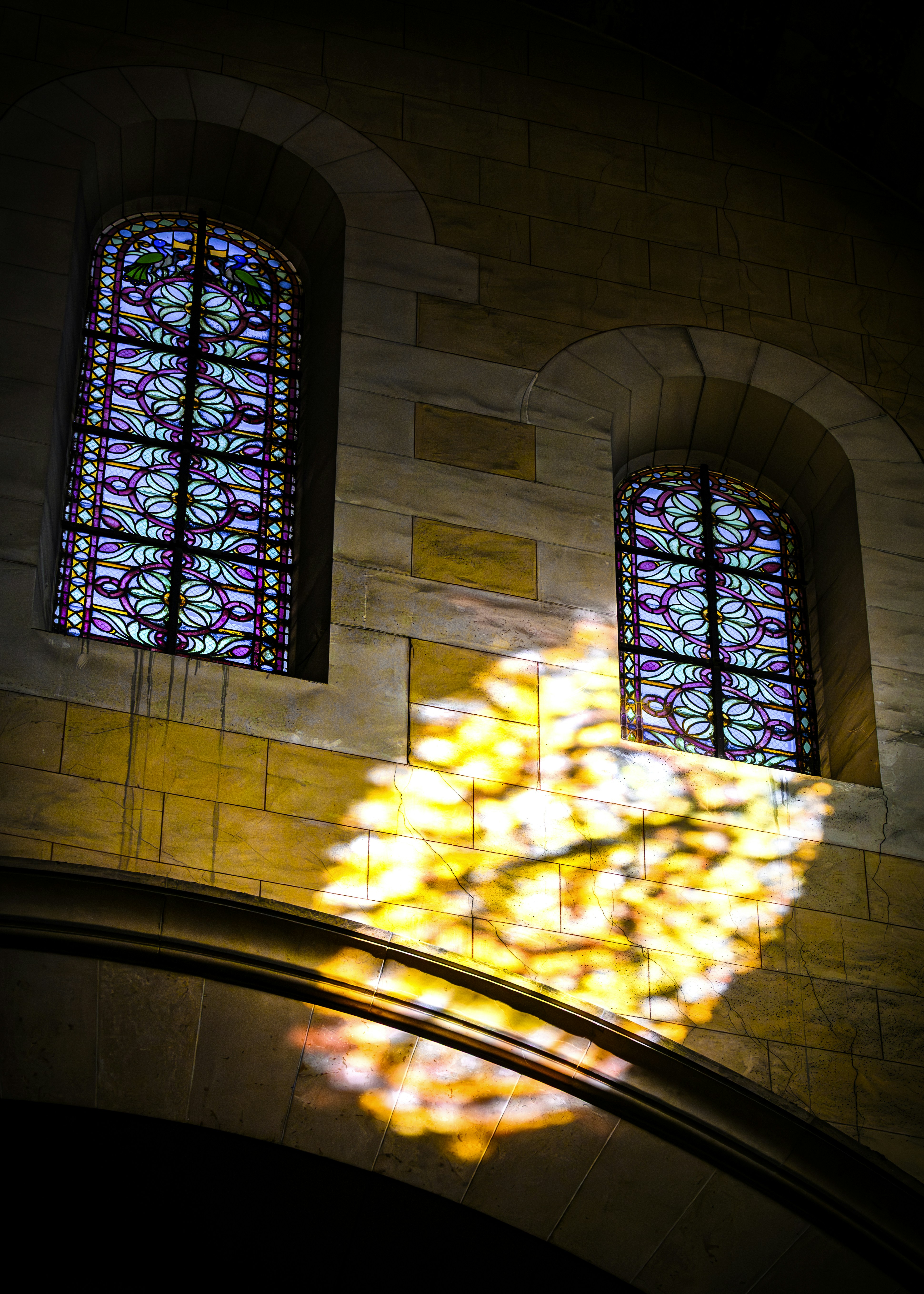 Photo by Philippe BONTEMPS with Nikon Z6 III