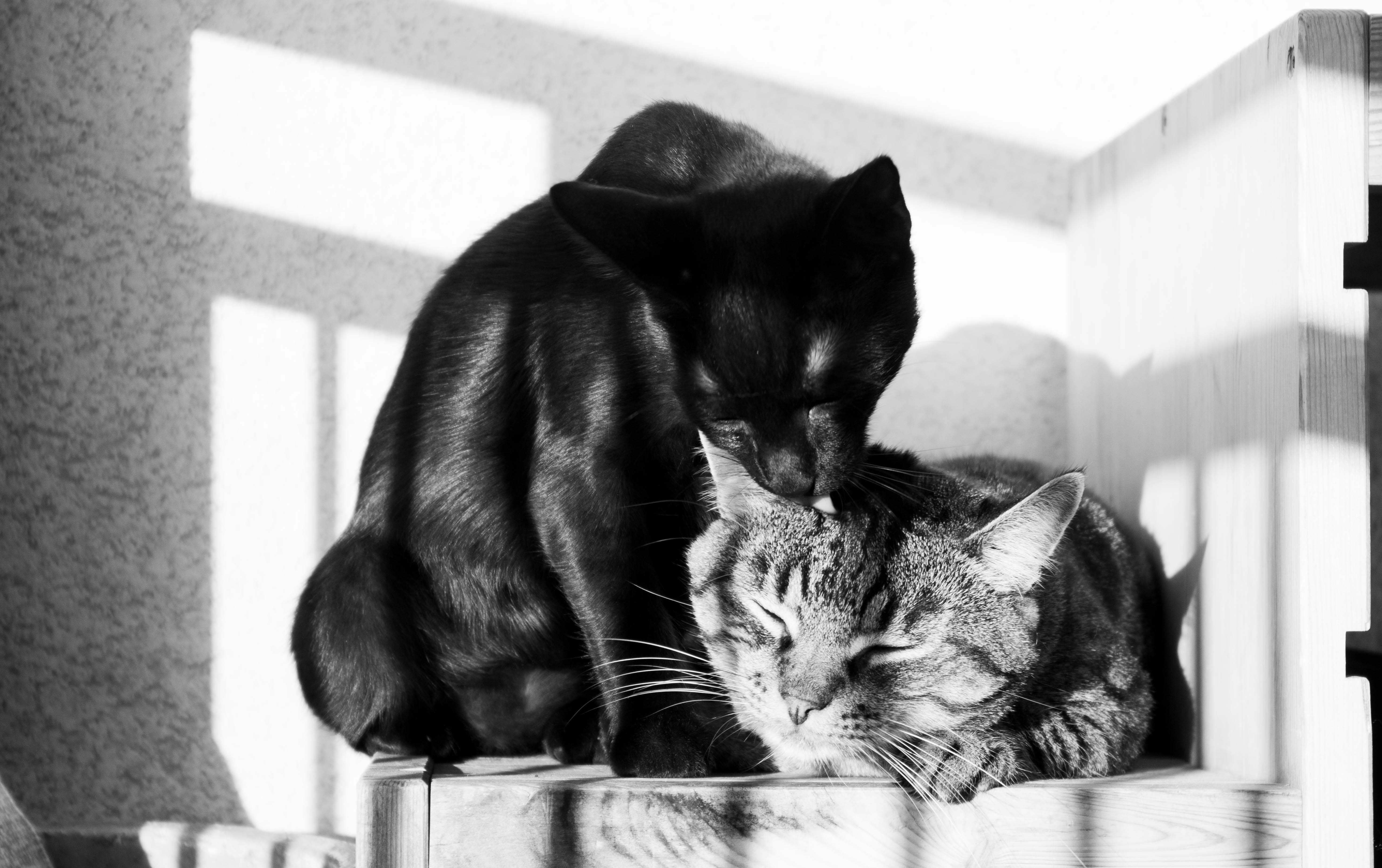 Coffe break from my work? :) https://buymeacoffee.com/davidlembas