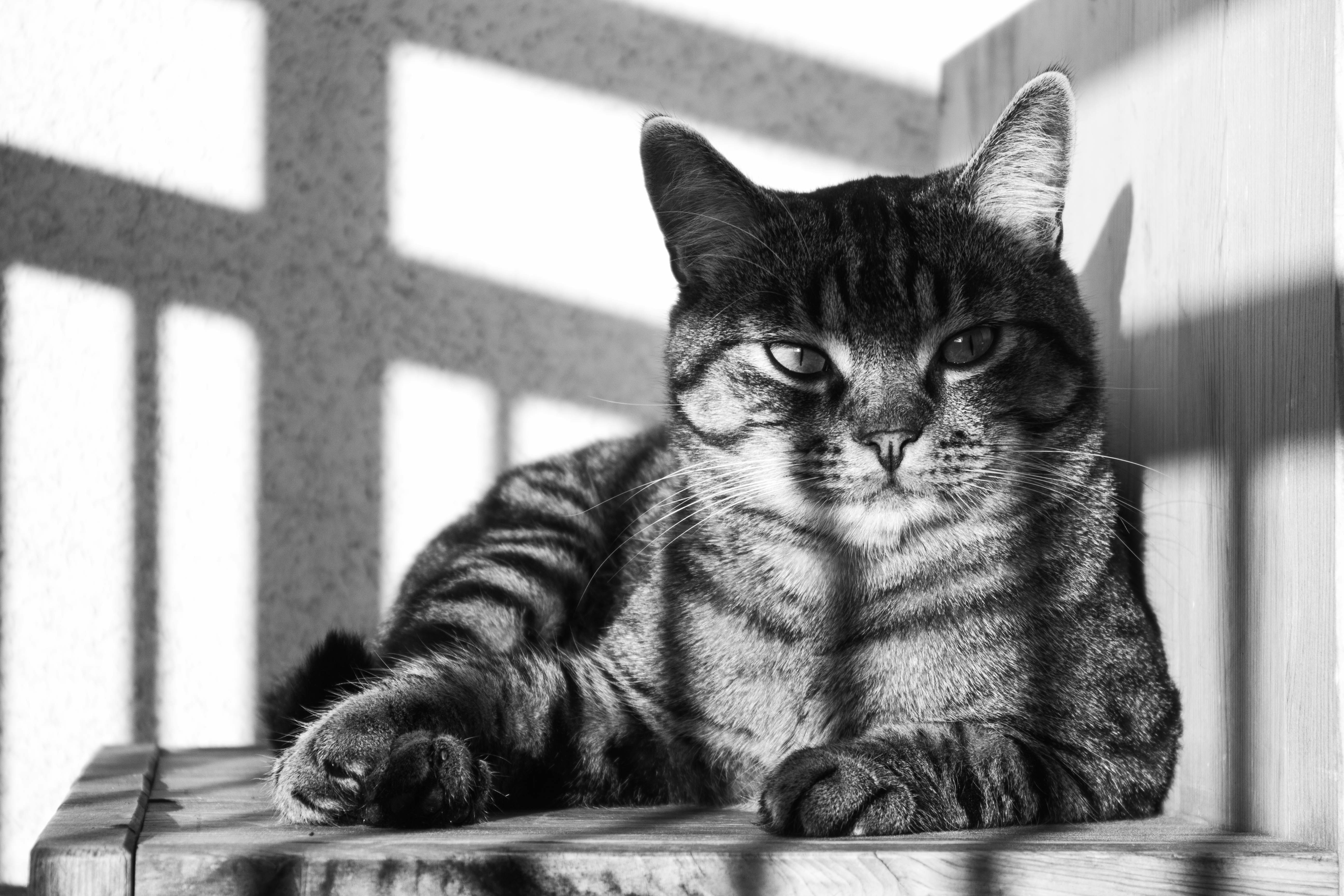 Photo by David Lembas with Canon EOS 600D