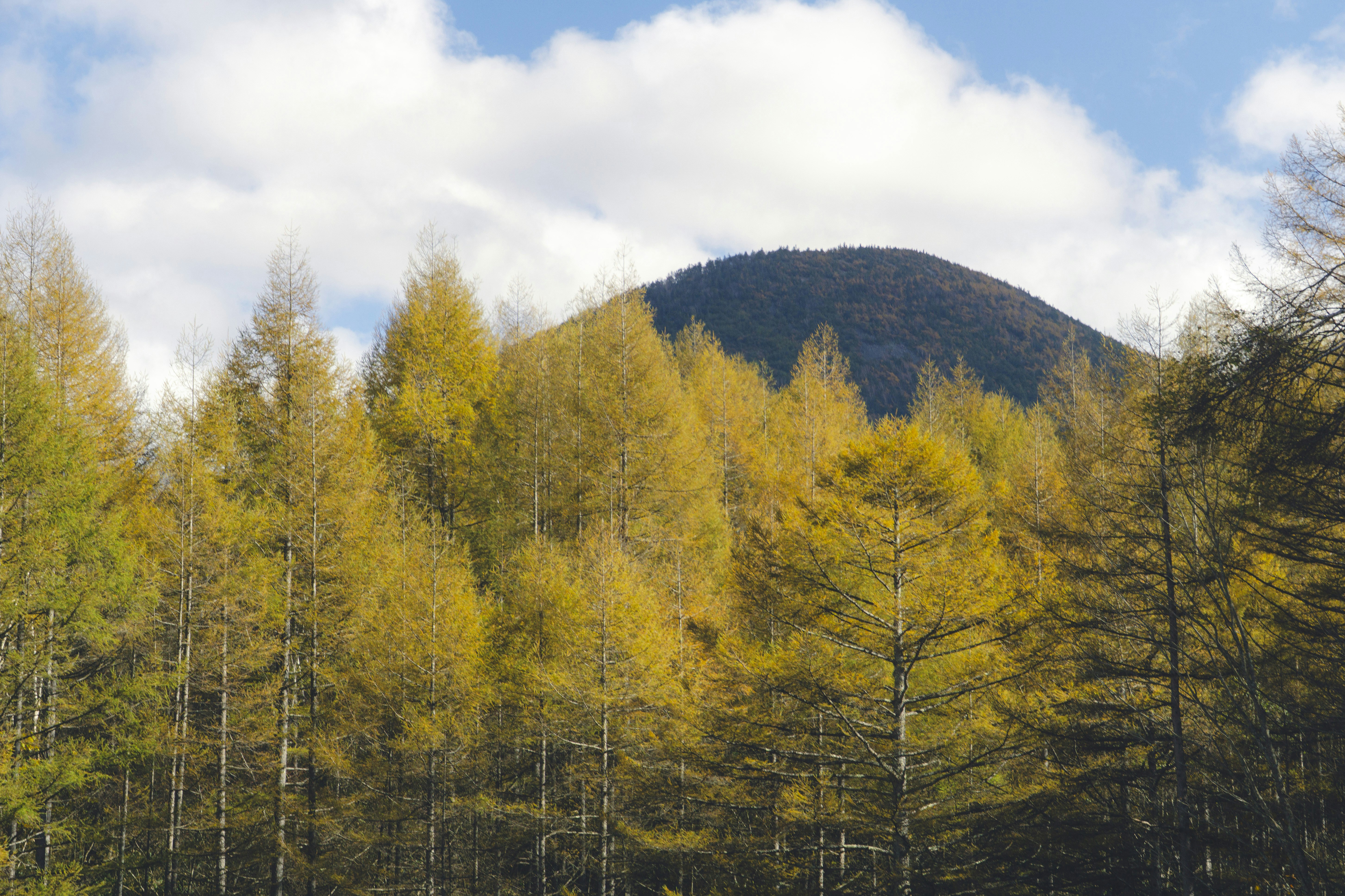 taiga miyamoto (@taiga_miyamoto) | Unsplash 사진 커뮤니티