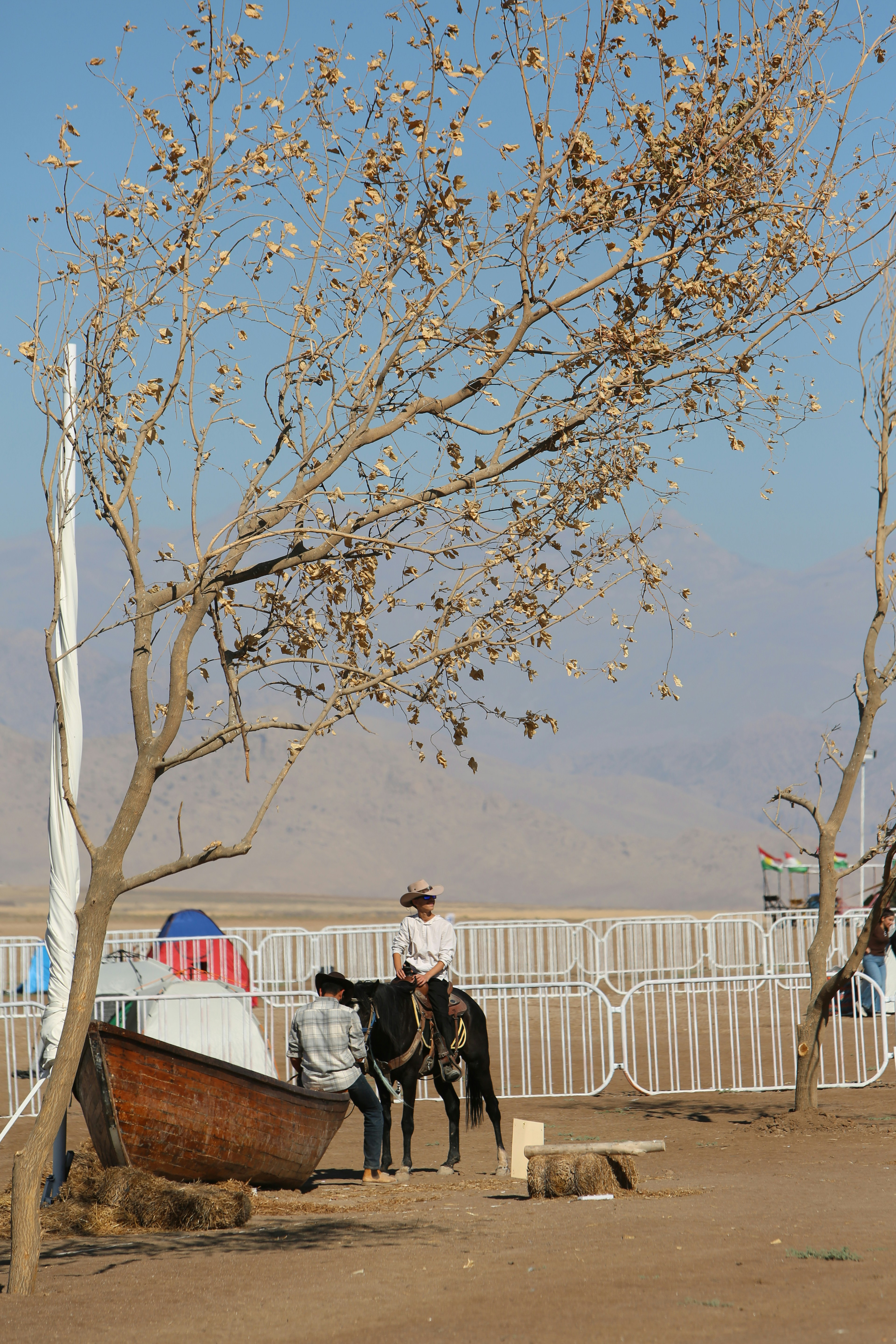 Desert Fairground Rider: A Mounted Moment Framed by Bare Trees and Fence Lines