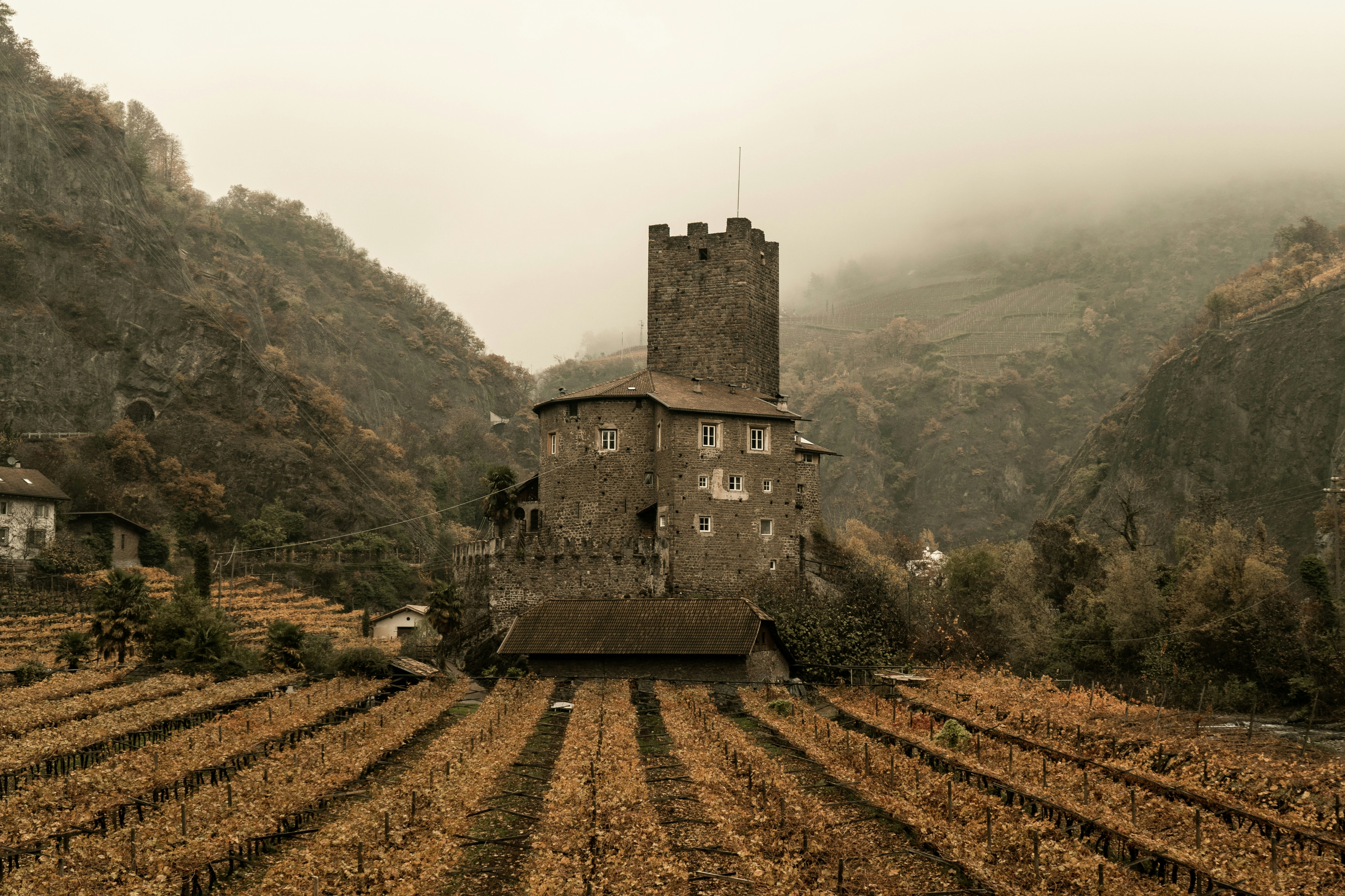 Castle Sentinel Over Autumn Vines in Mist