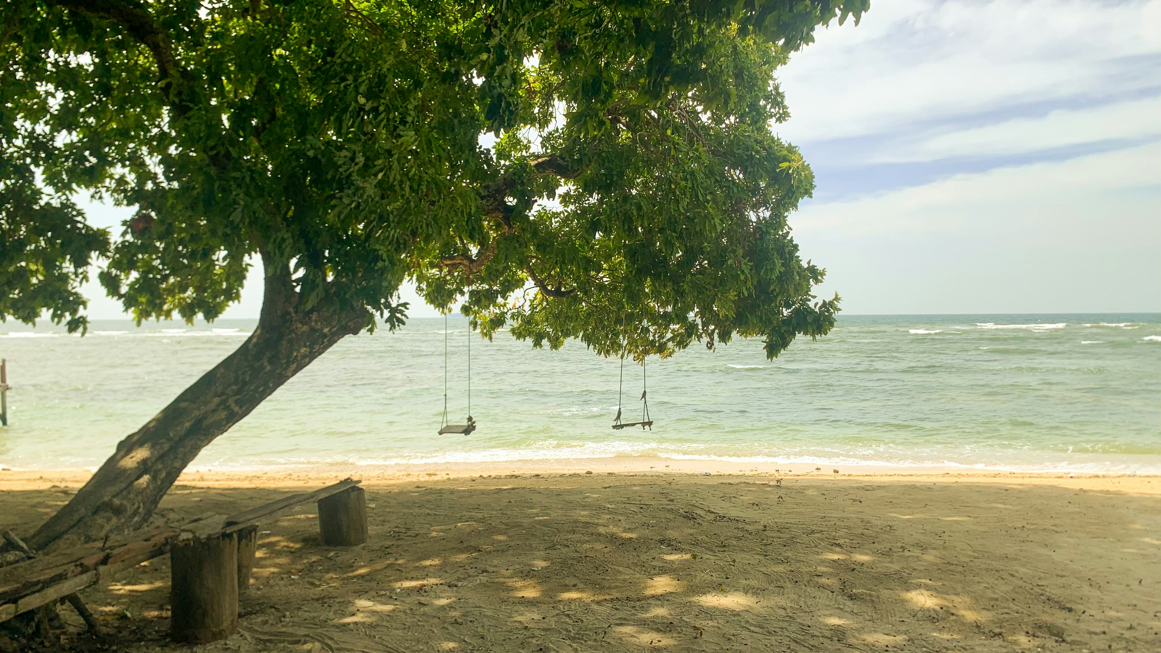 Photo by Devan Soedarmasto with Apple iPhone XR