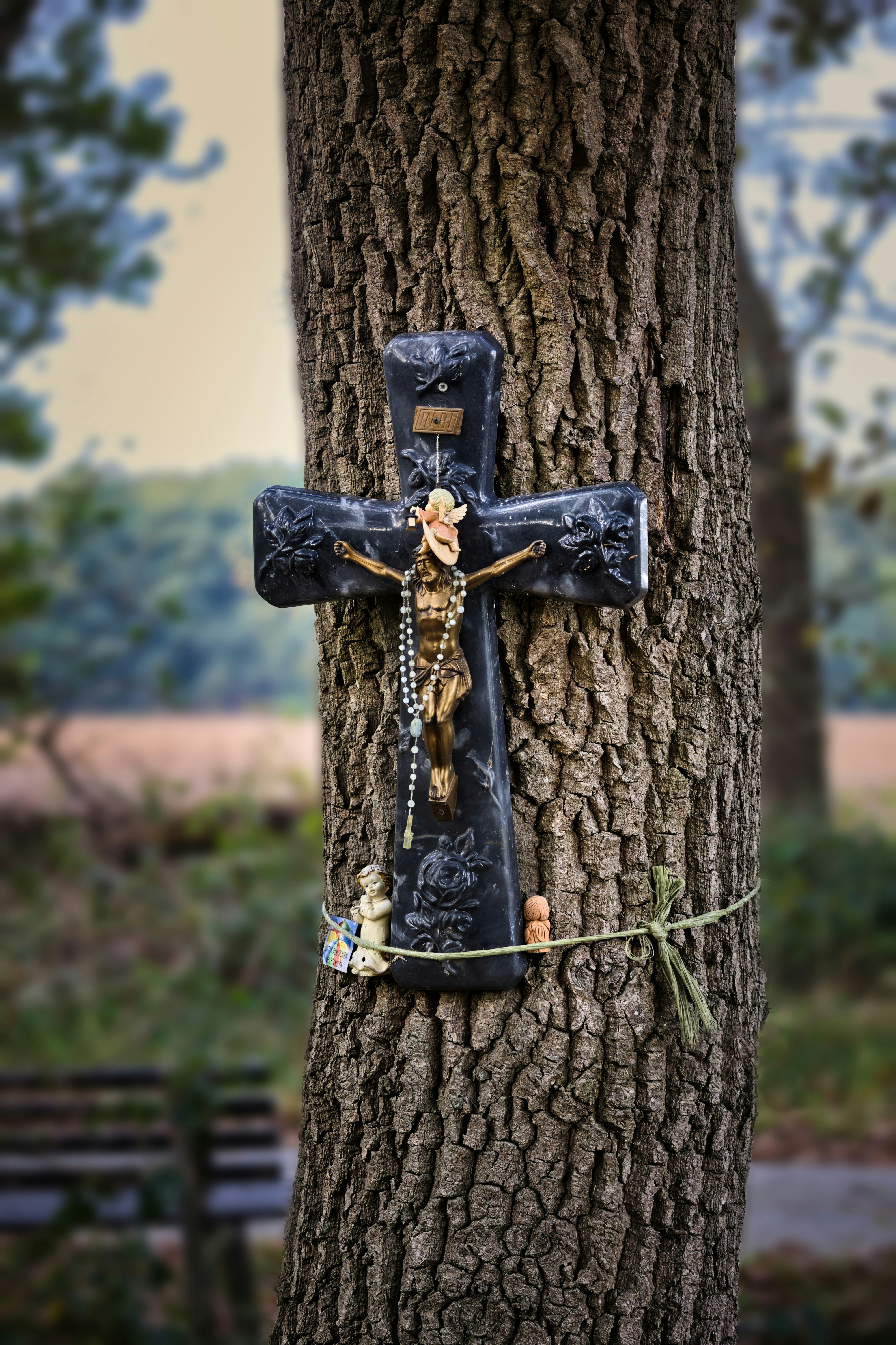 Rooted Reverence: A Crucifix Adorned to a Tree Trunk