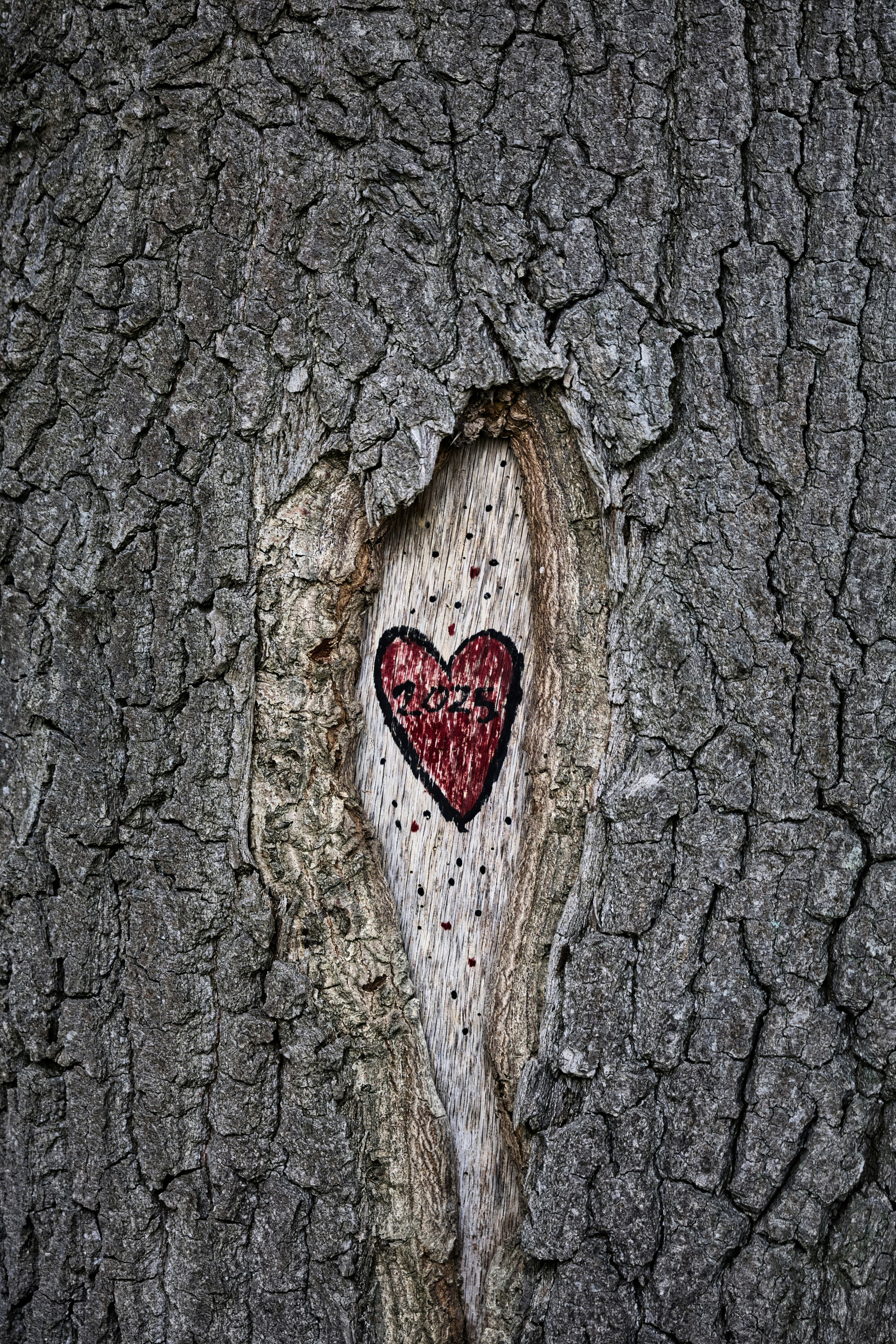 Photo by Wolfgang Vrede with Canon EOS R6 Mark II