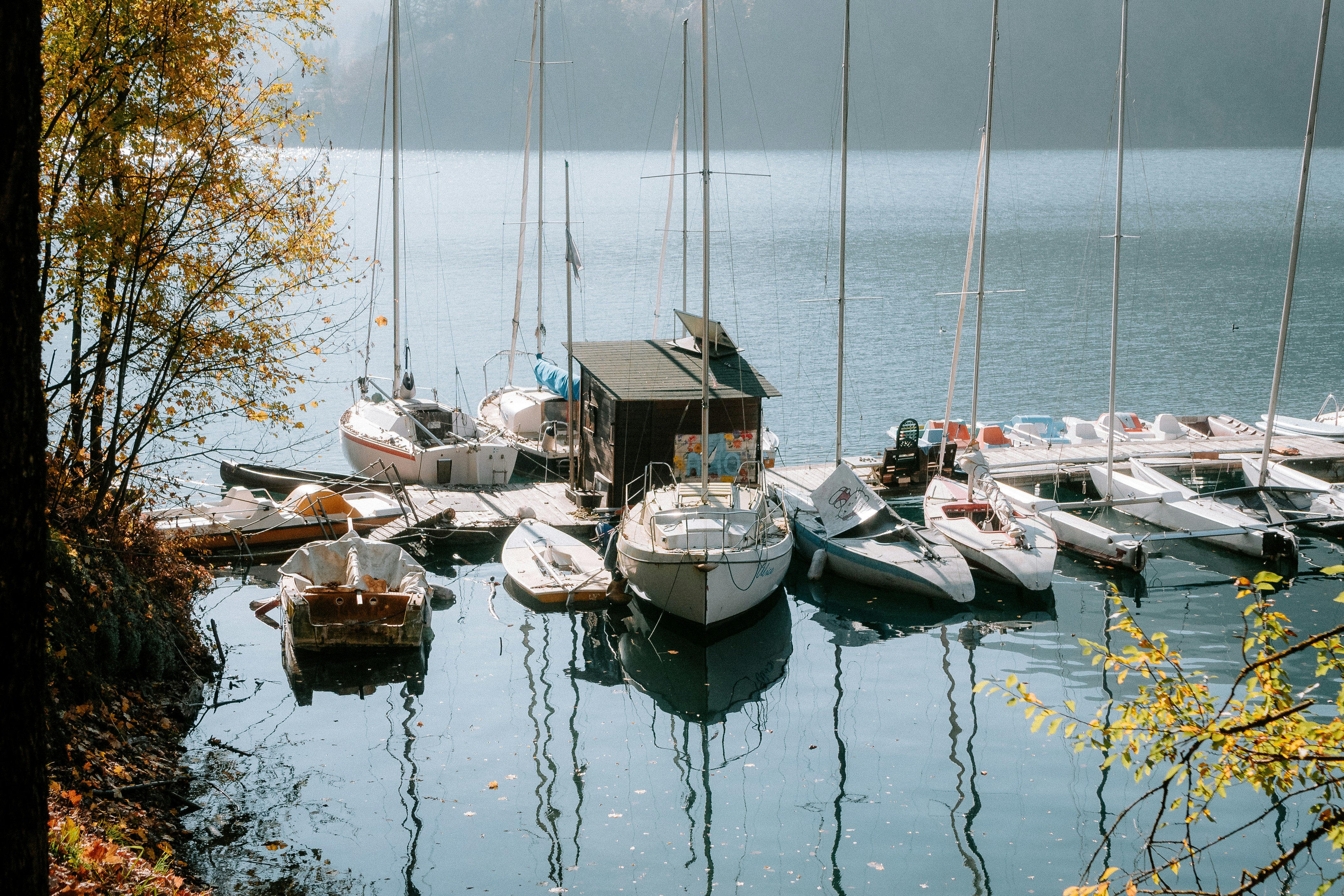 Harbor of Quiet Reflections: A Fleet of Masts Docked in Autumn Light
