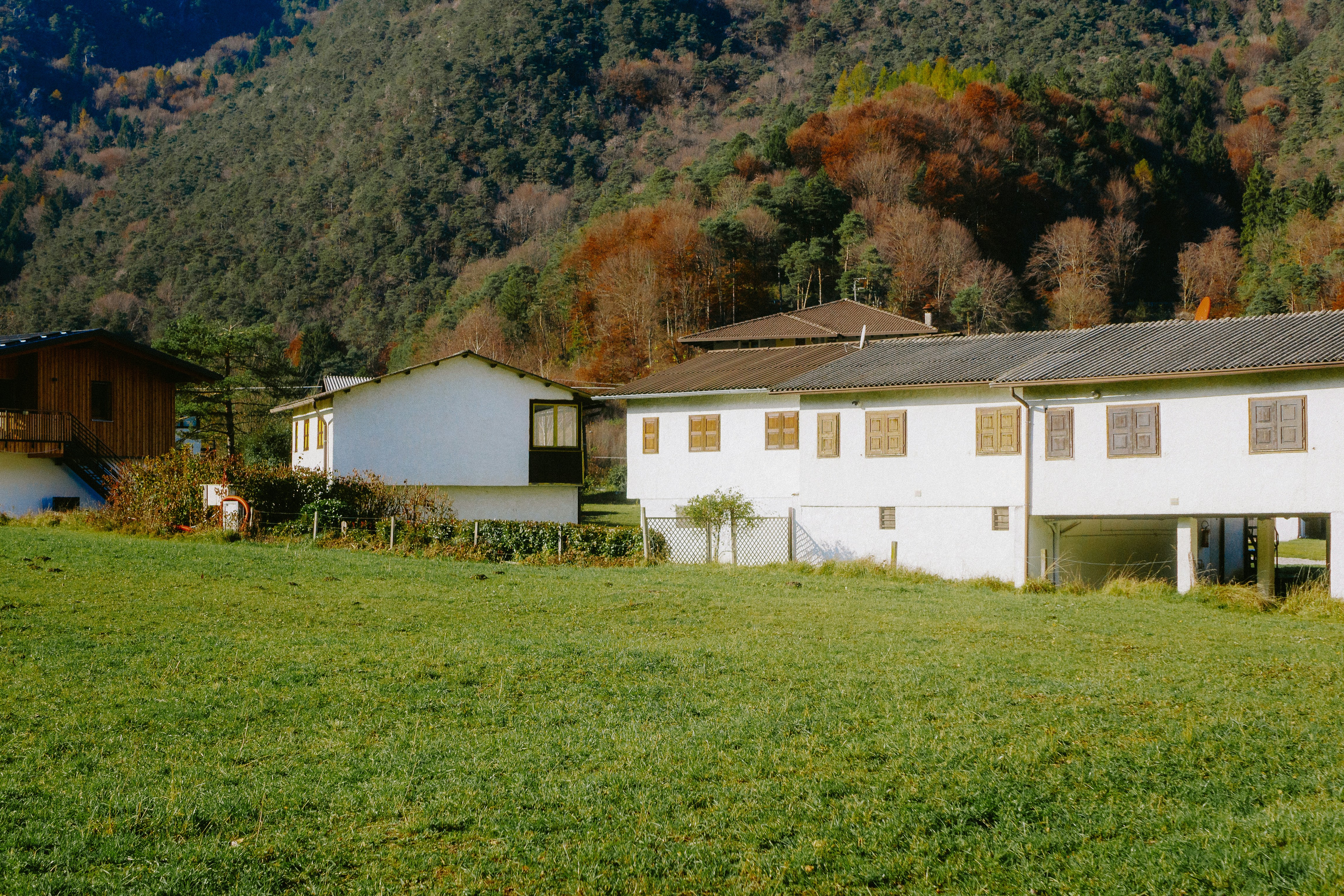 White Farmstead Row at the Foot of an Autumn Ridge