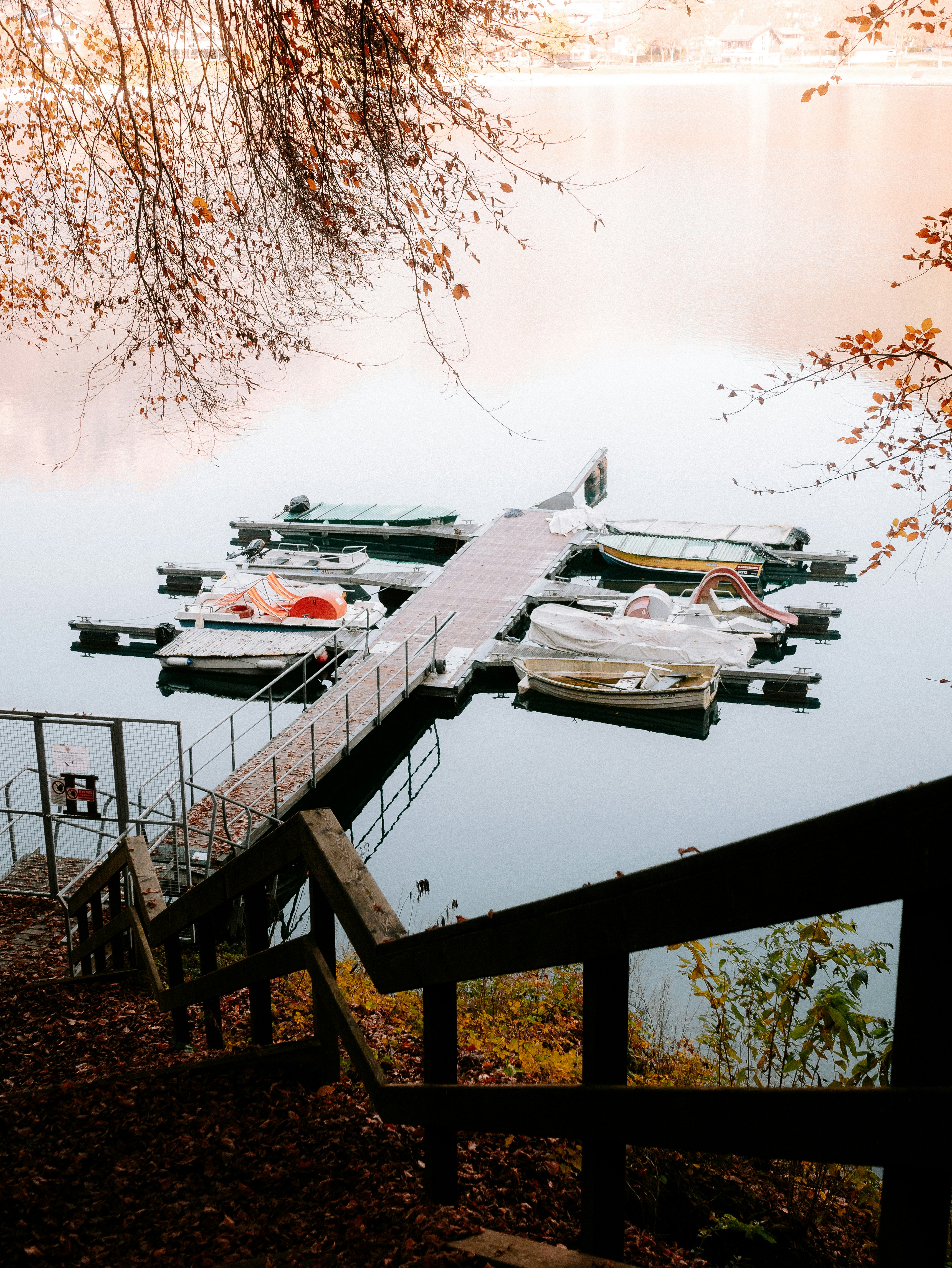 Harbor of Autumn Light: Quiet Dock with Pedal Boats on a Glassy Lake