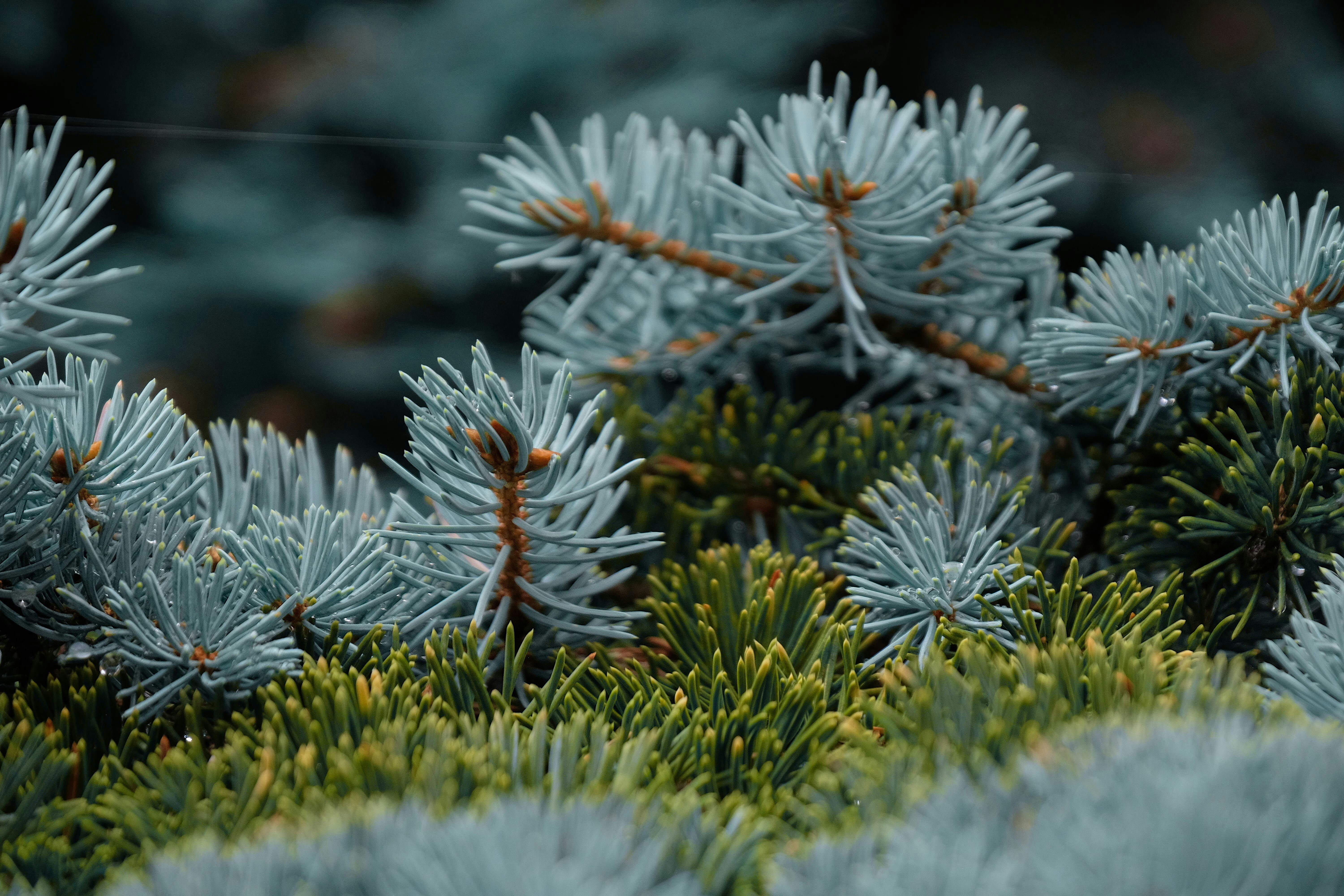 Photo by Josef Litoš with Fujifilm X-T2