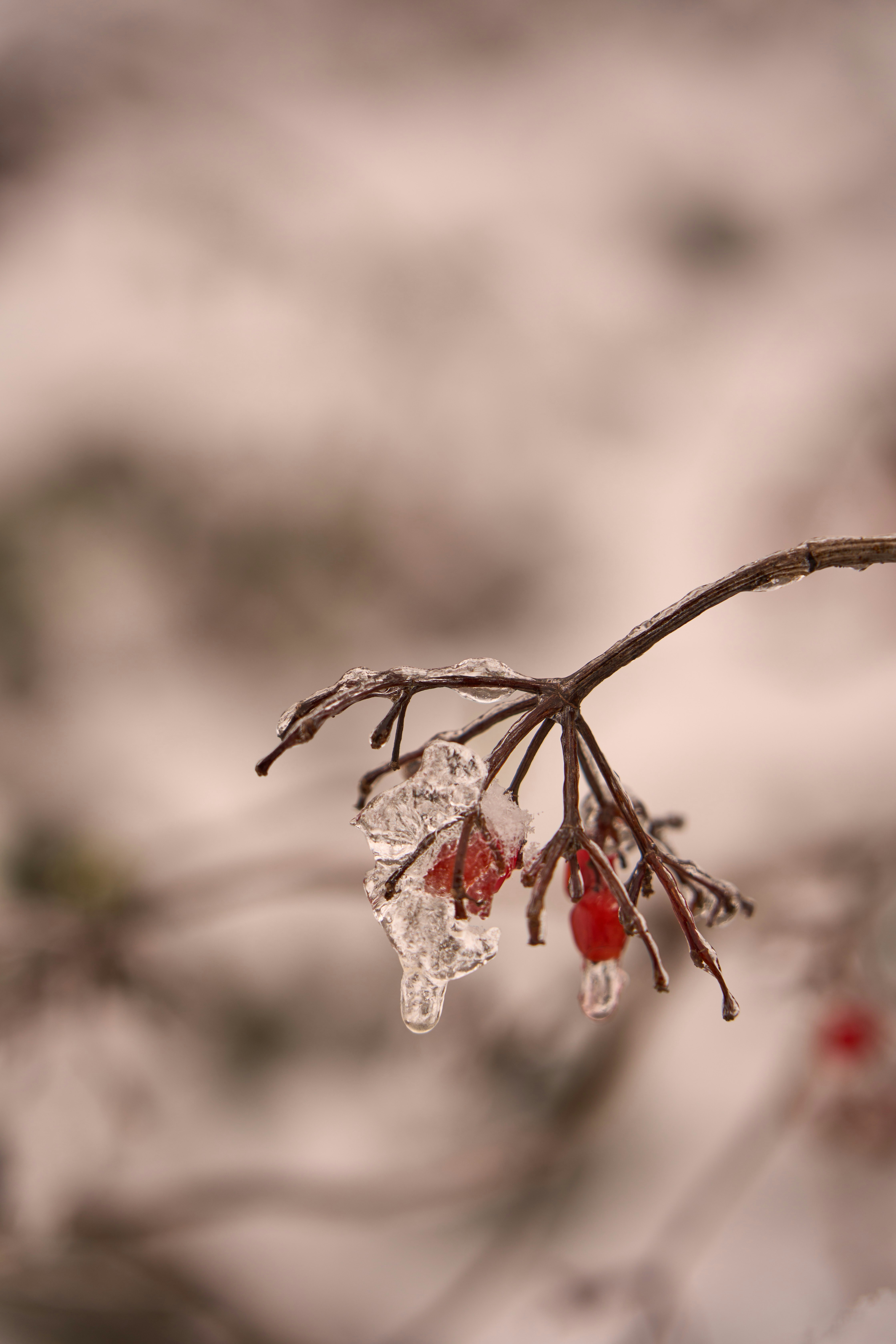 Photo by Wolfgang Hasselmann with Sony Alpha 7 IV