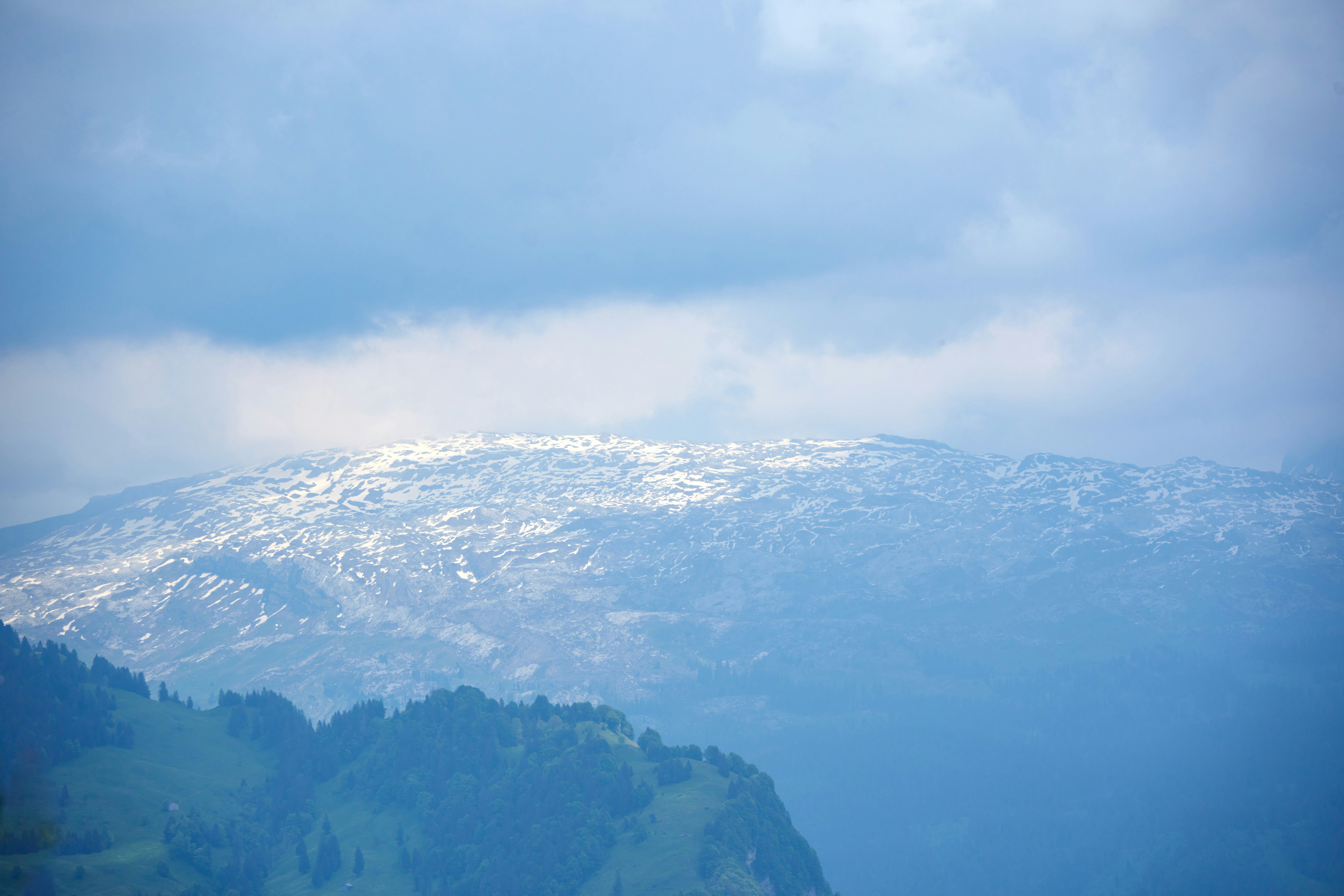 Photo by Wolfgang Hasselmann with Sony Alpha 7 IV