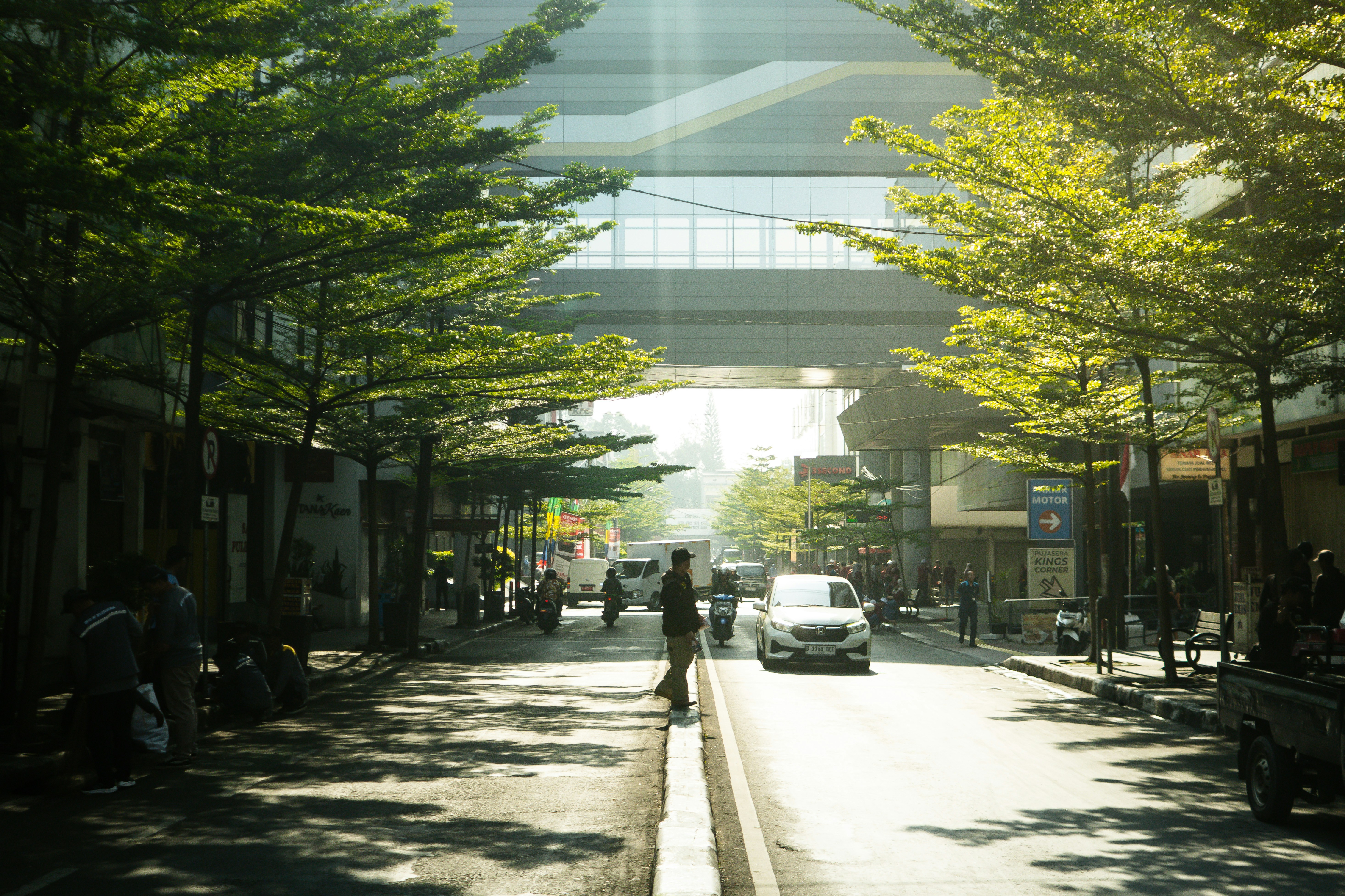 Sunlit City Street Through a Canopy of Leaves