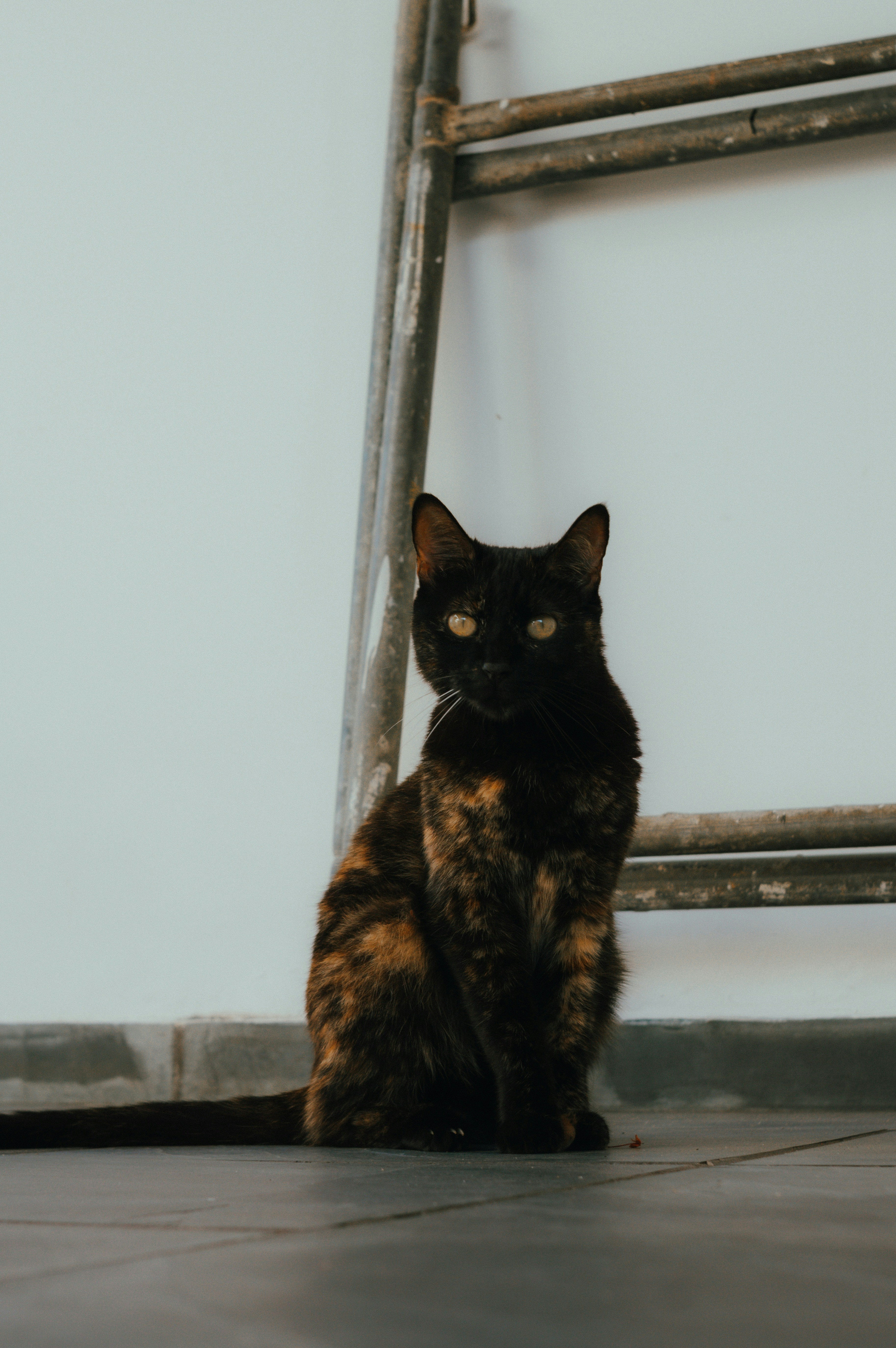 Photo by Ivett M with Nikon D3200