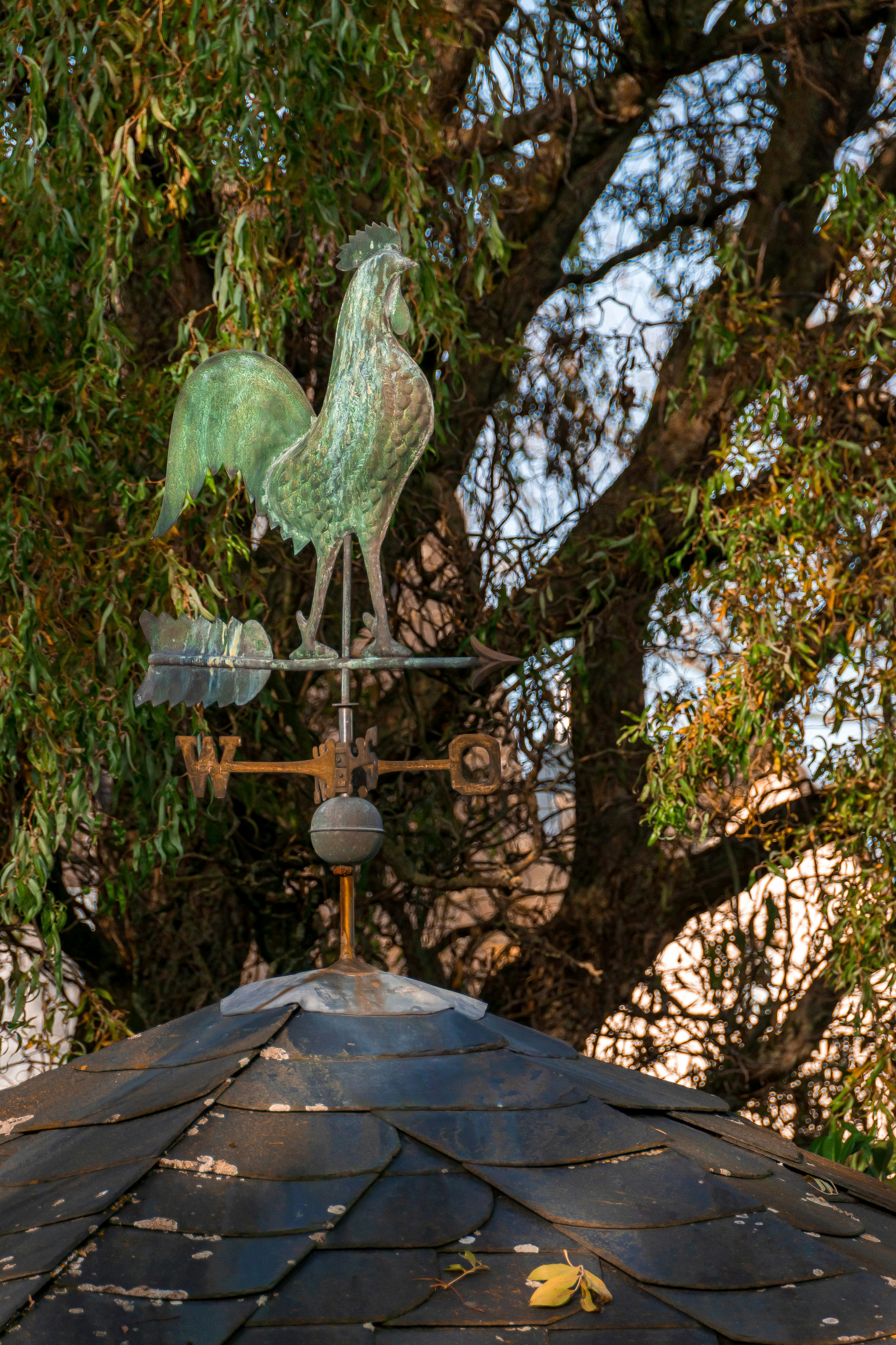 Verdigris Rooster Weather Vane Crowned by Foliage Above a Slate Roof