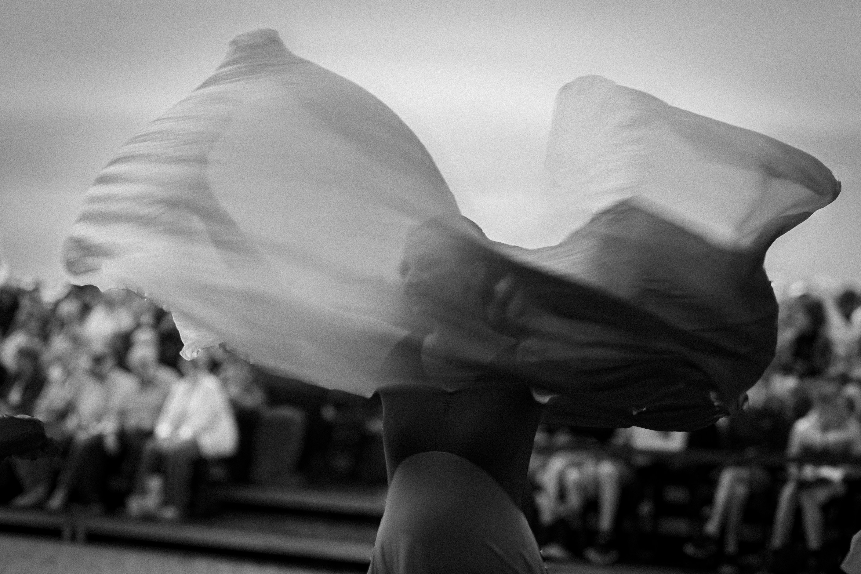 Photo by Nicolas Denorme with Canon EOS 1200D