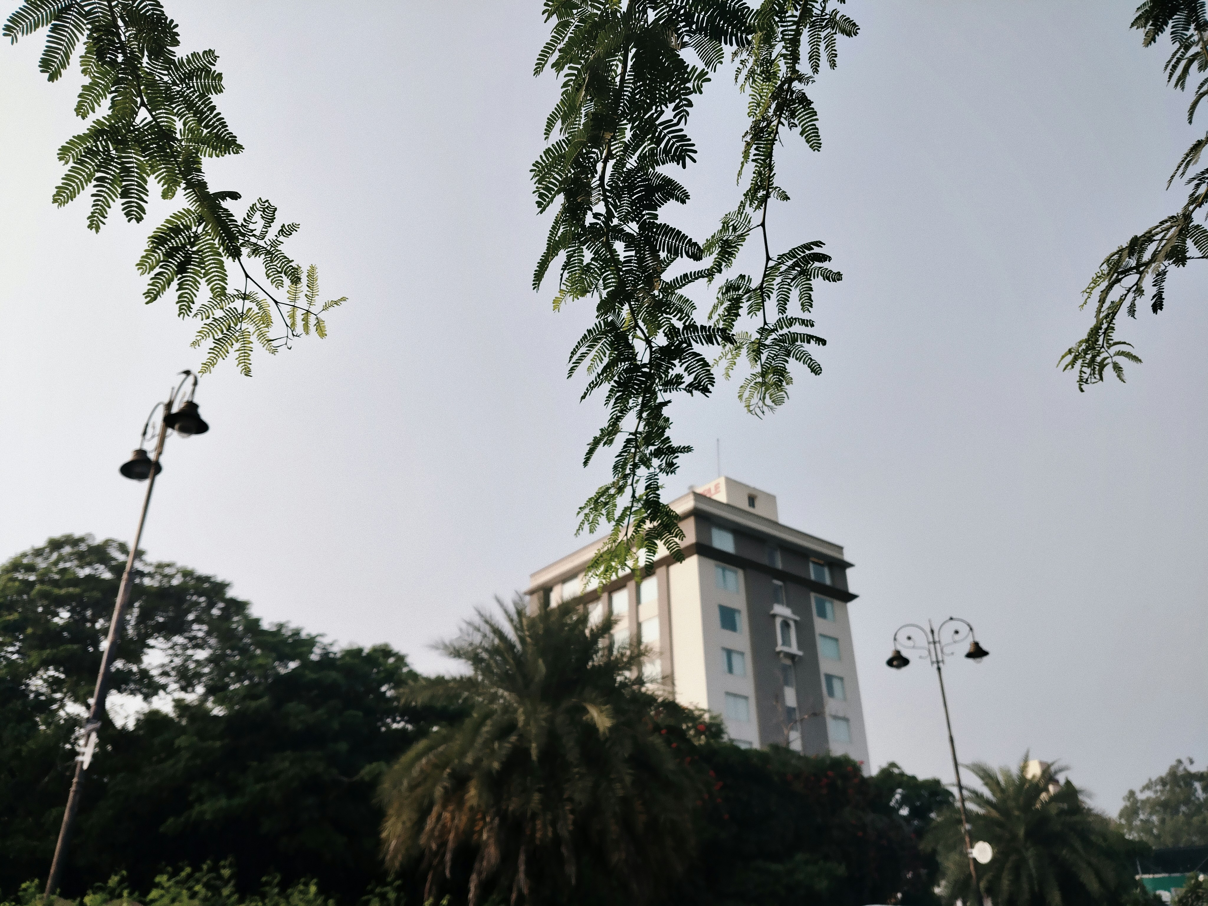 A peaceful urban landscape featuring a modern building surrounded by lush greenery and palm trees under a clear sky. Captured from a low angle, the image blends architecture with nature to create a calm and refreshing atmosphere. Ideal for themes like travel, sustainability, real estate, city lifestyle, and natural beauty. The soft morning light adds a serene mood, making this photo perfect for projects focused on relaxation, eco-friendly living, architecture, and urban design.