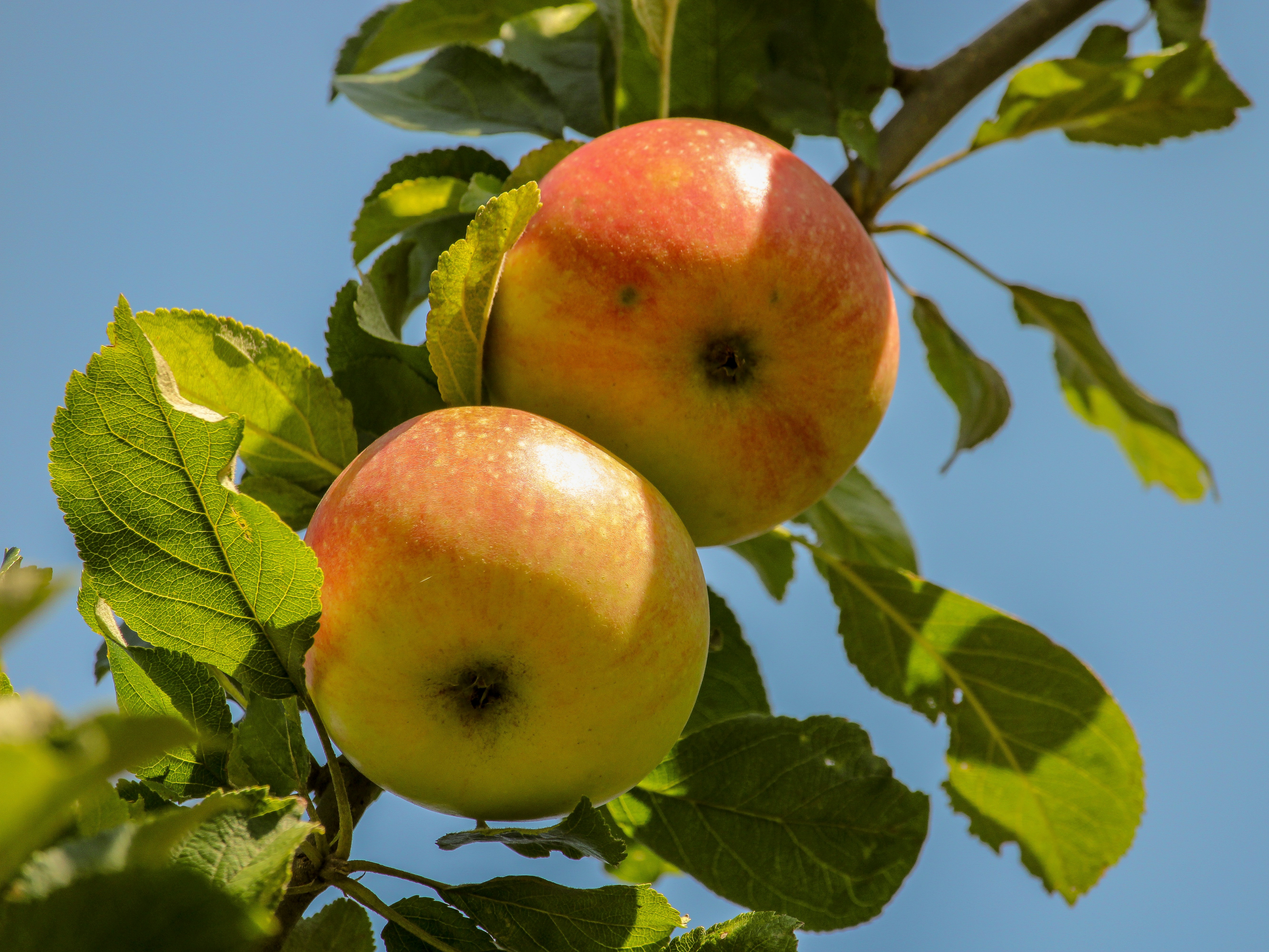 Photo by MAURO FOSSATI with Canon EOS 2000D