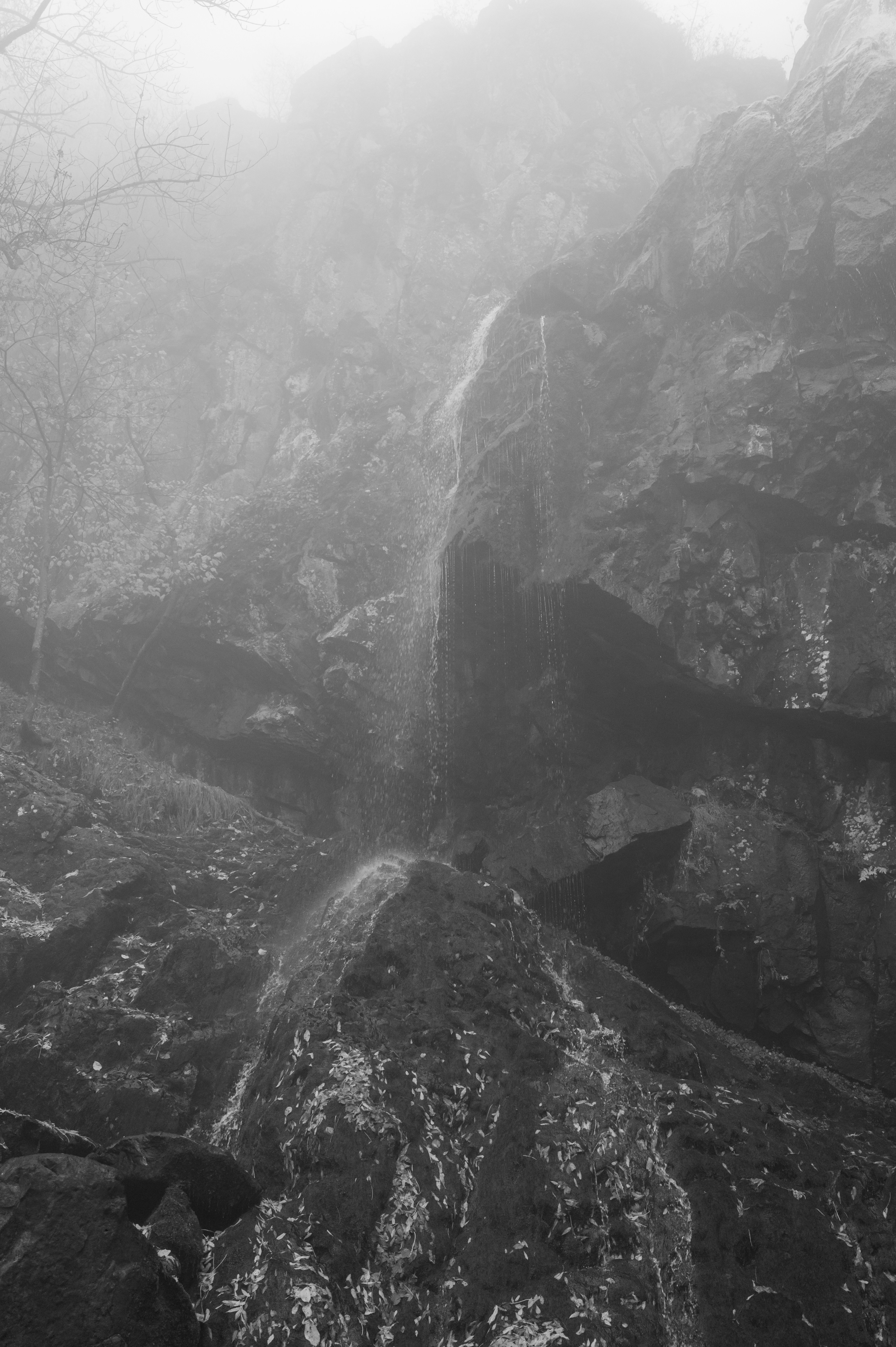 Mist-Softened Cascade in a Granite Gorge
