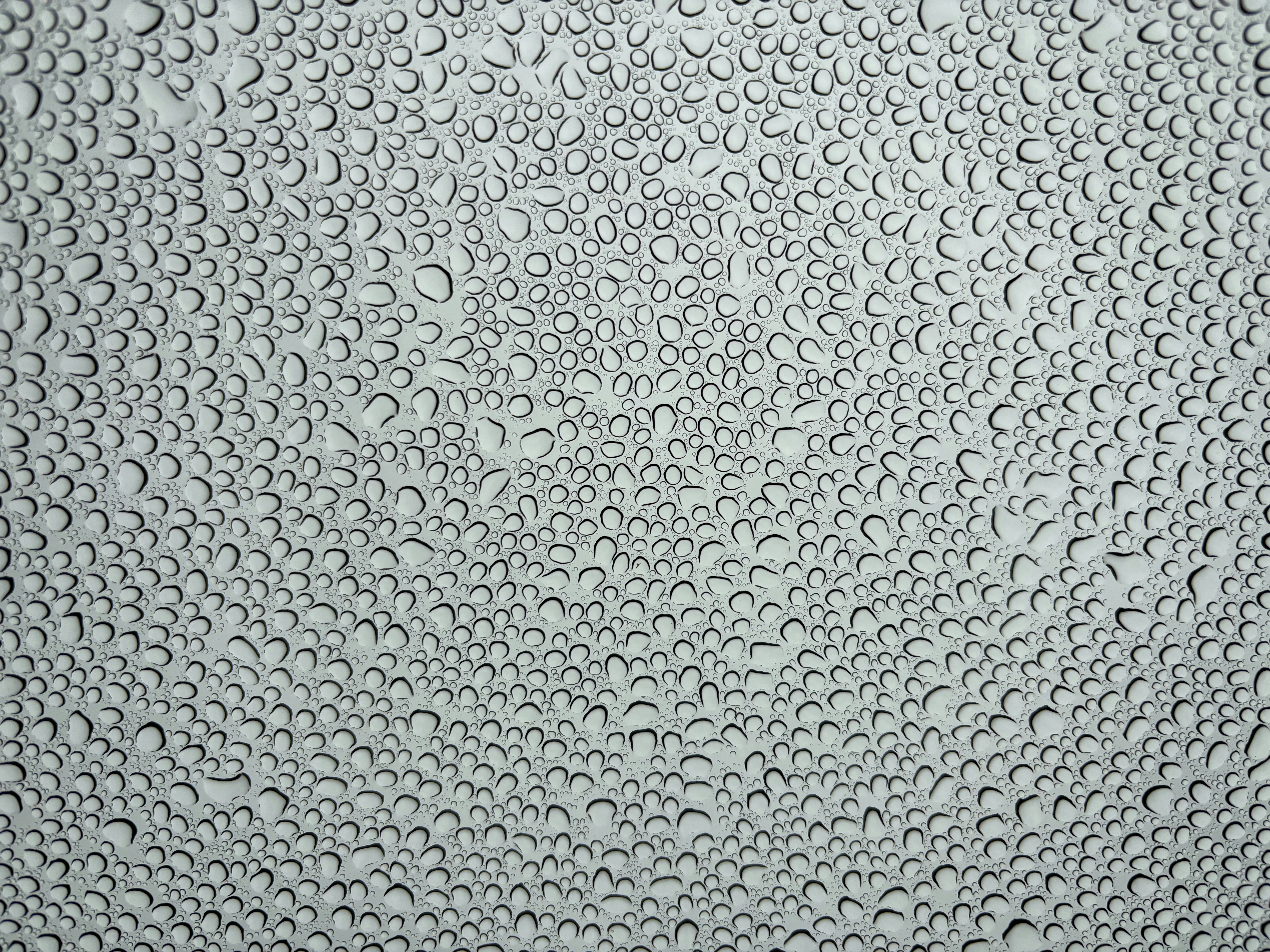 Photo by Karin Kim with Apple iPhone 15