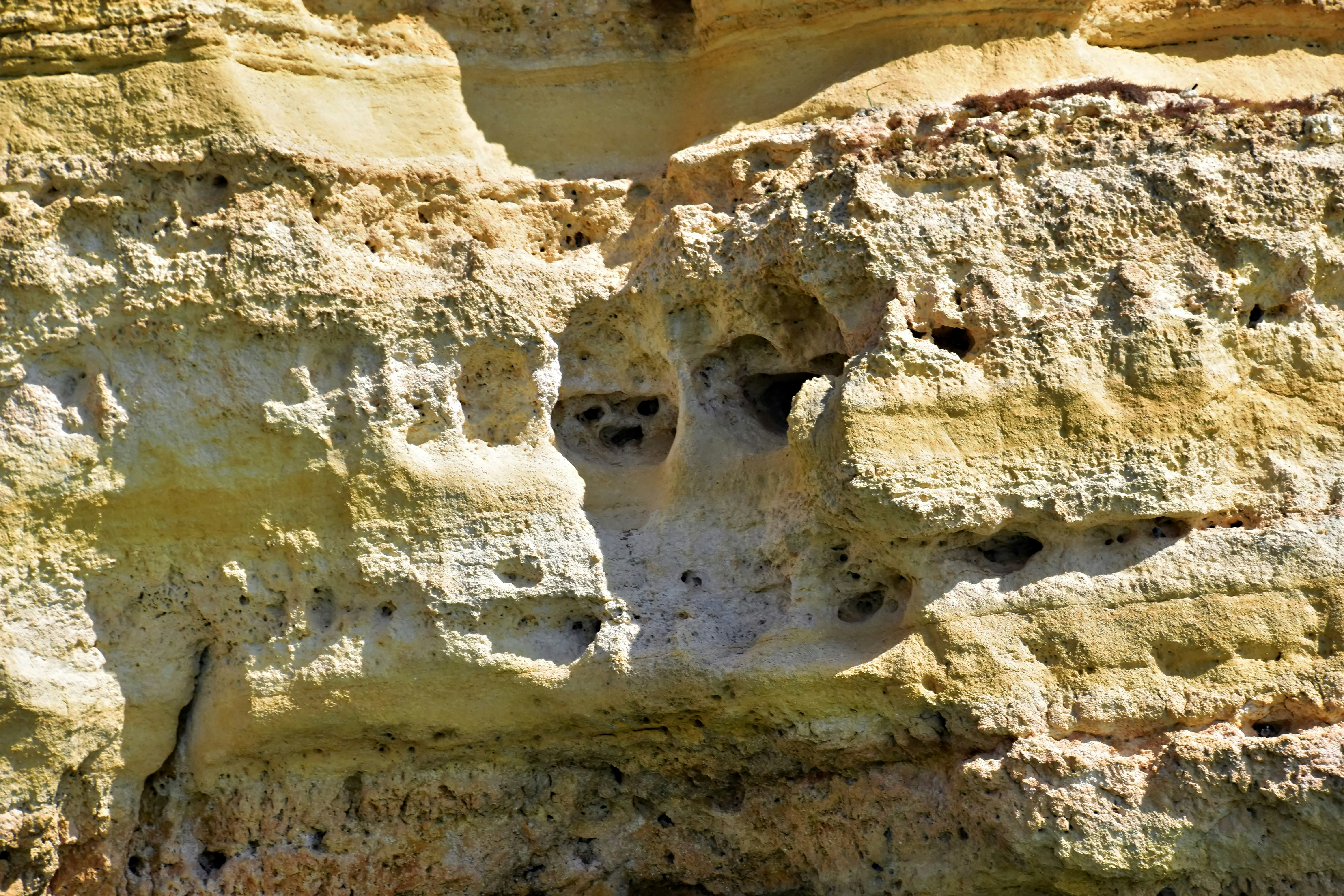 Photo by Jeffrey Eisen with Nikon D5600