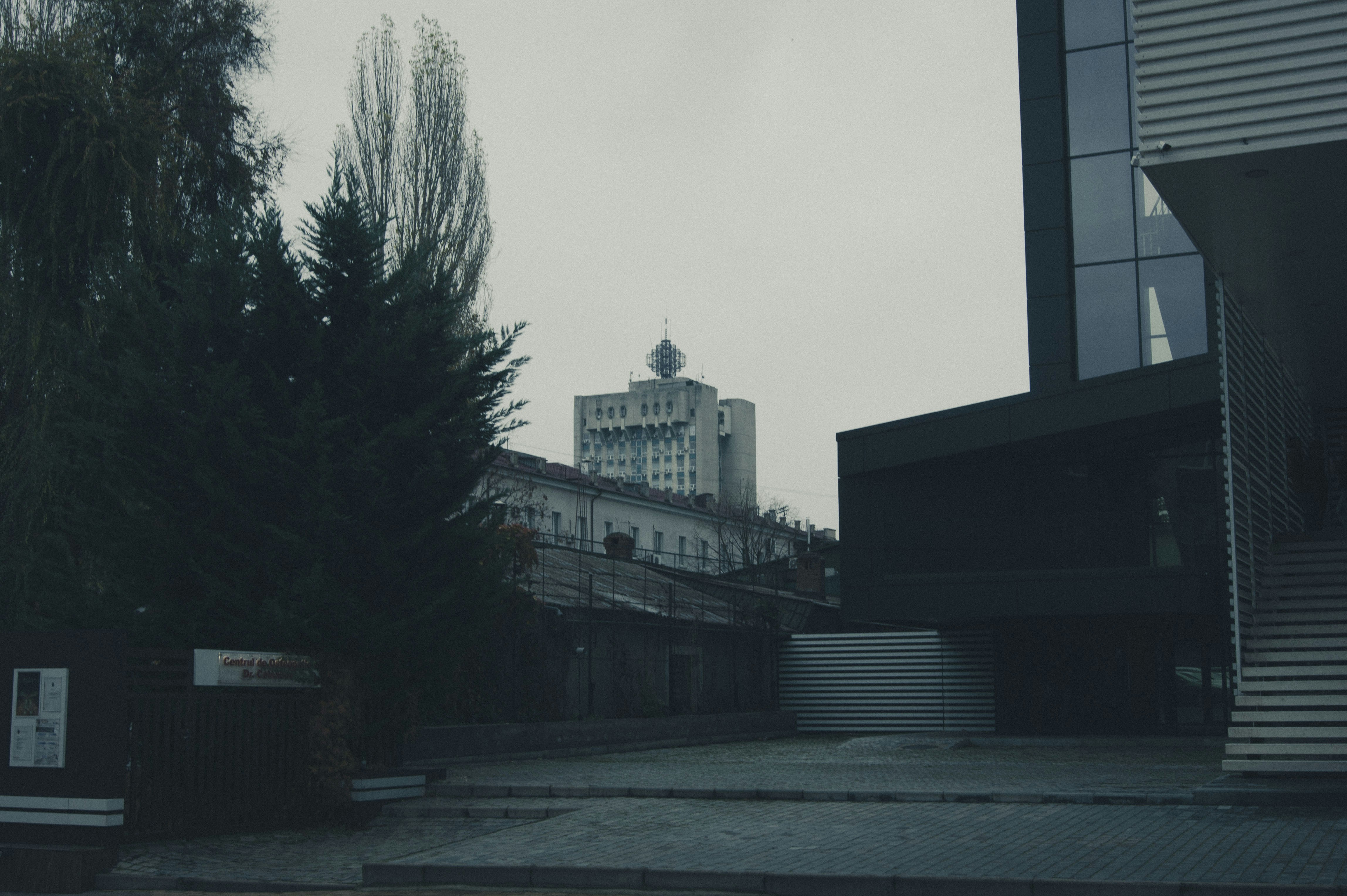 Edge of Quiet: Modern Facade Framed by Shadowed FoliageAlessandro Autiero