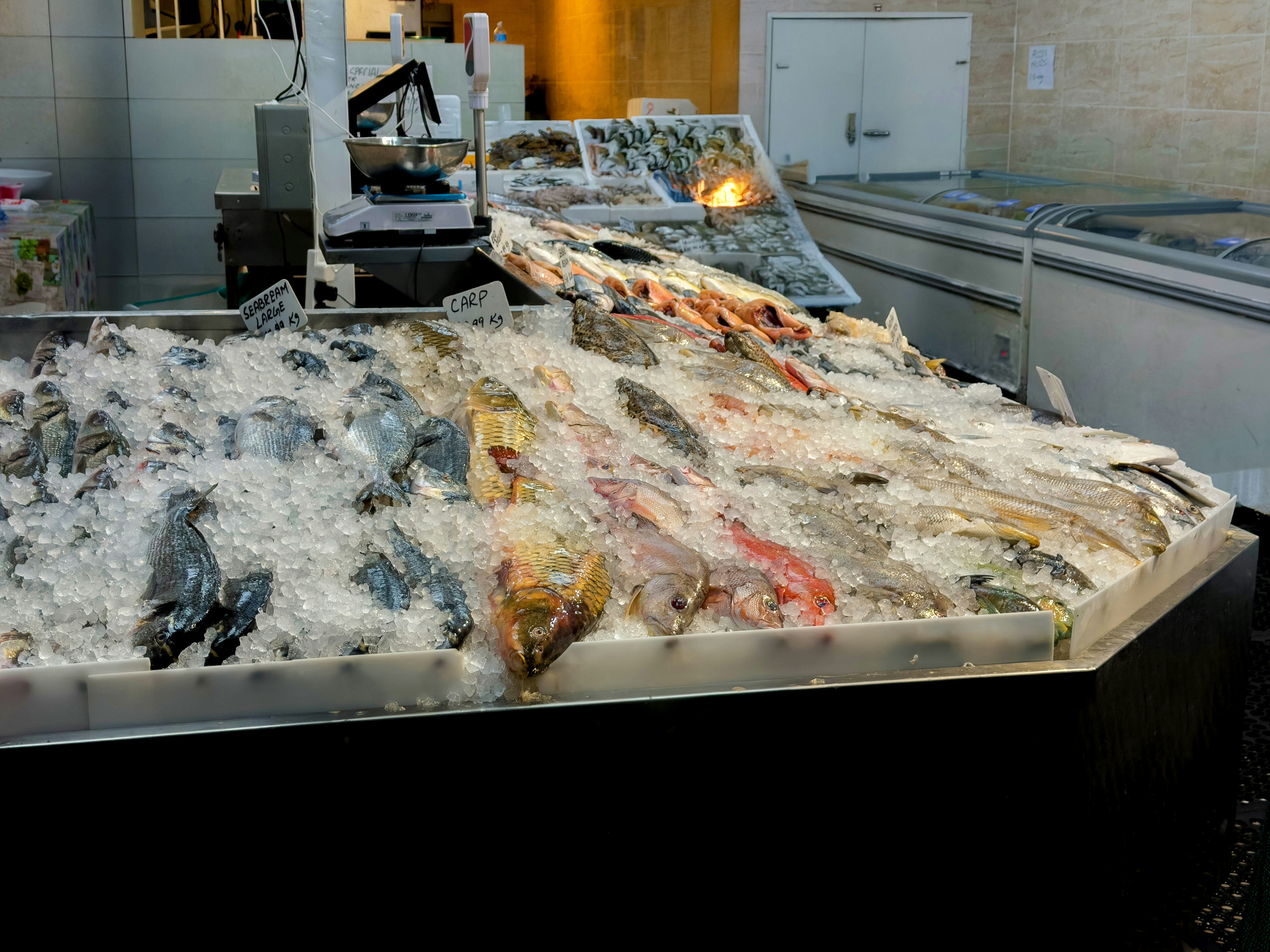 Photo by Brett Jordan with Apple iPhone 17 Pro