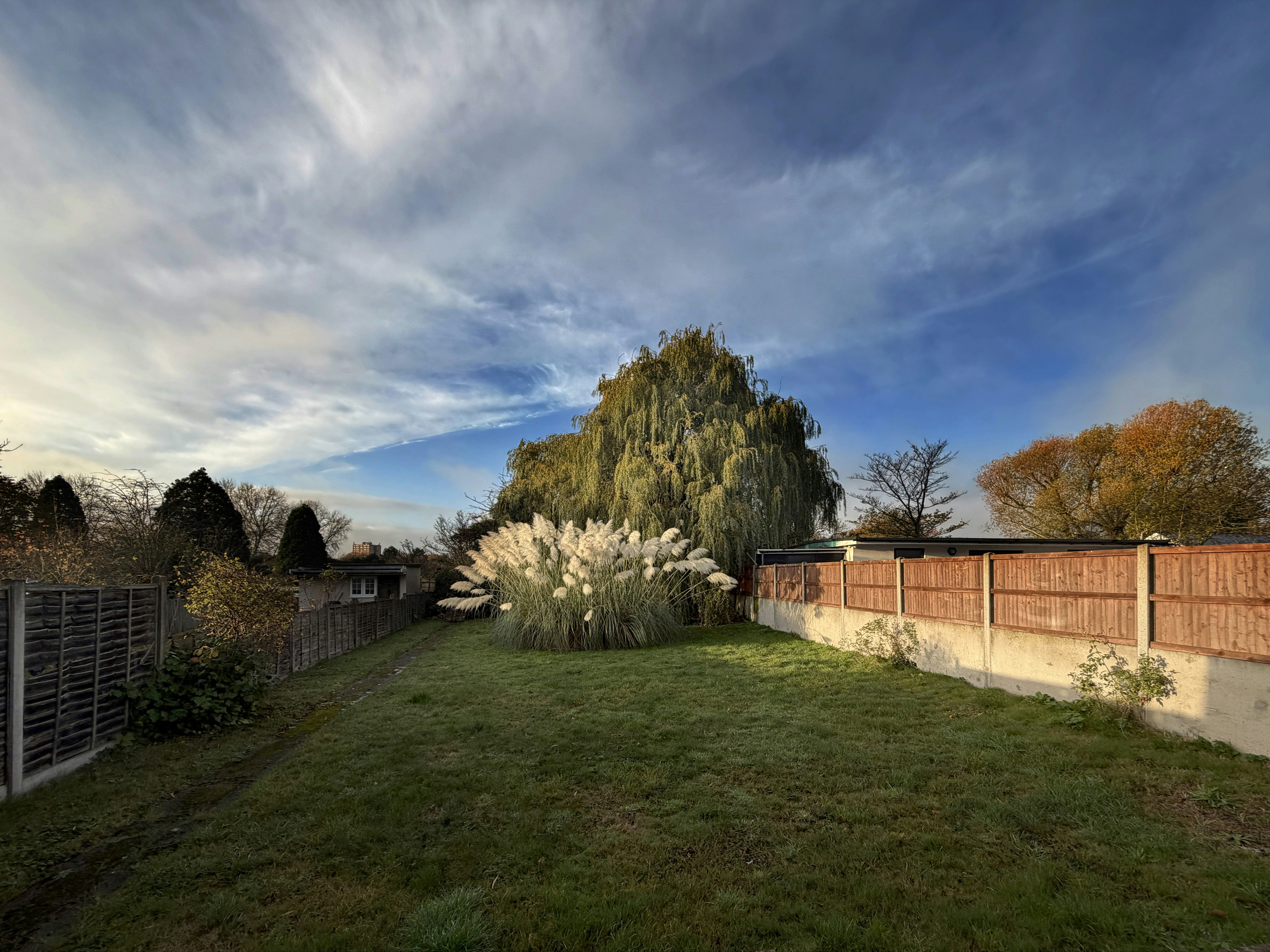 Photo by Brett Jordan with Apple iPhone 17 Pro