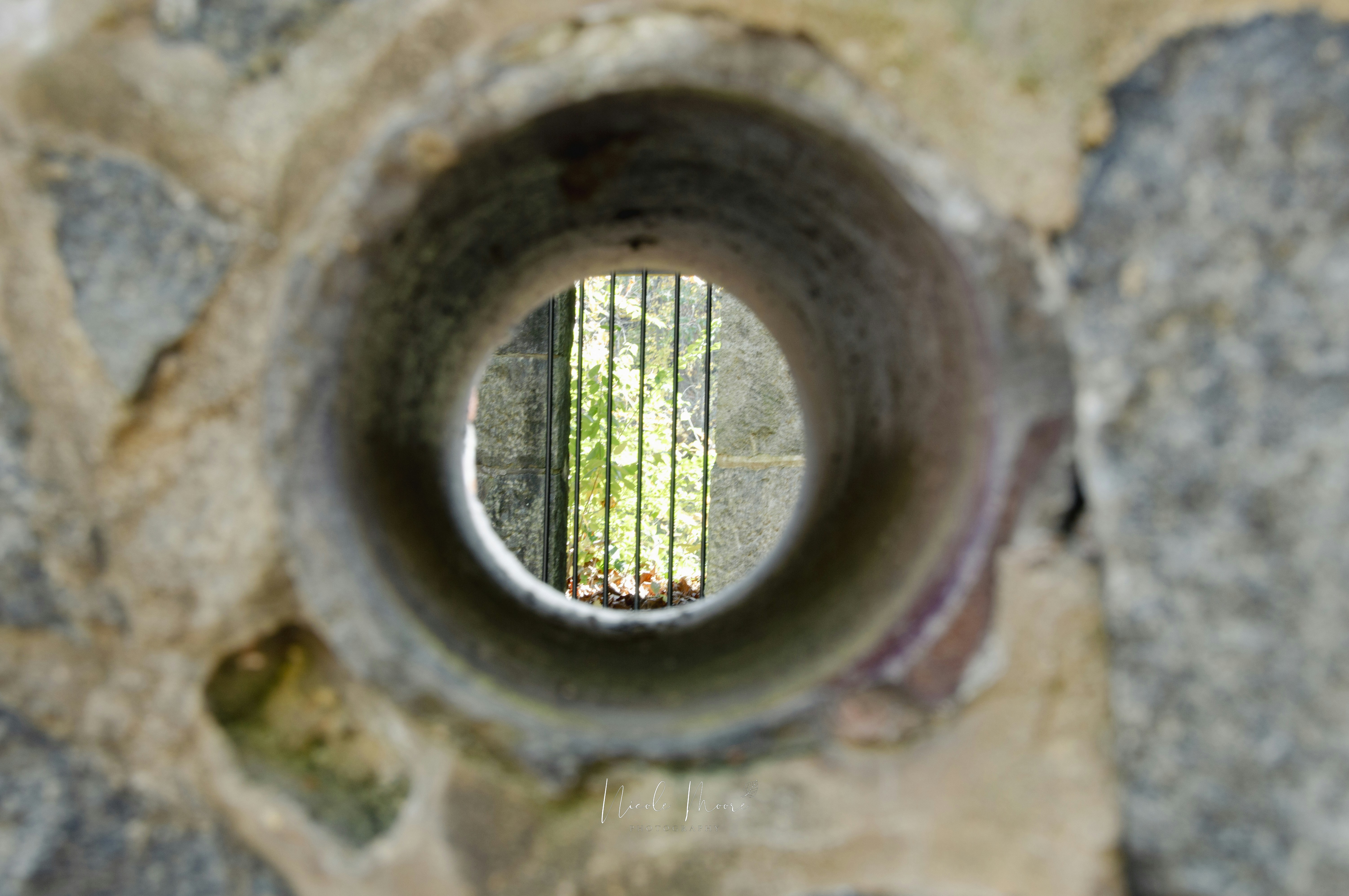 Photo by Nicole Moore with Nikon D3200