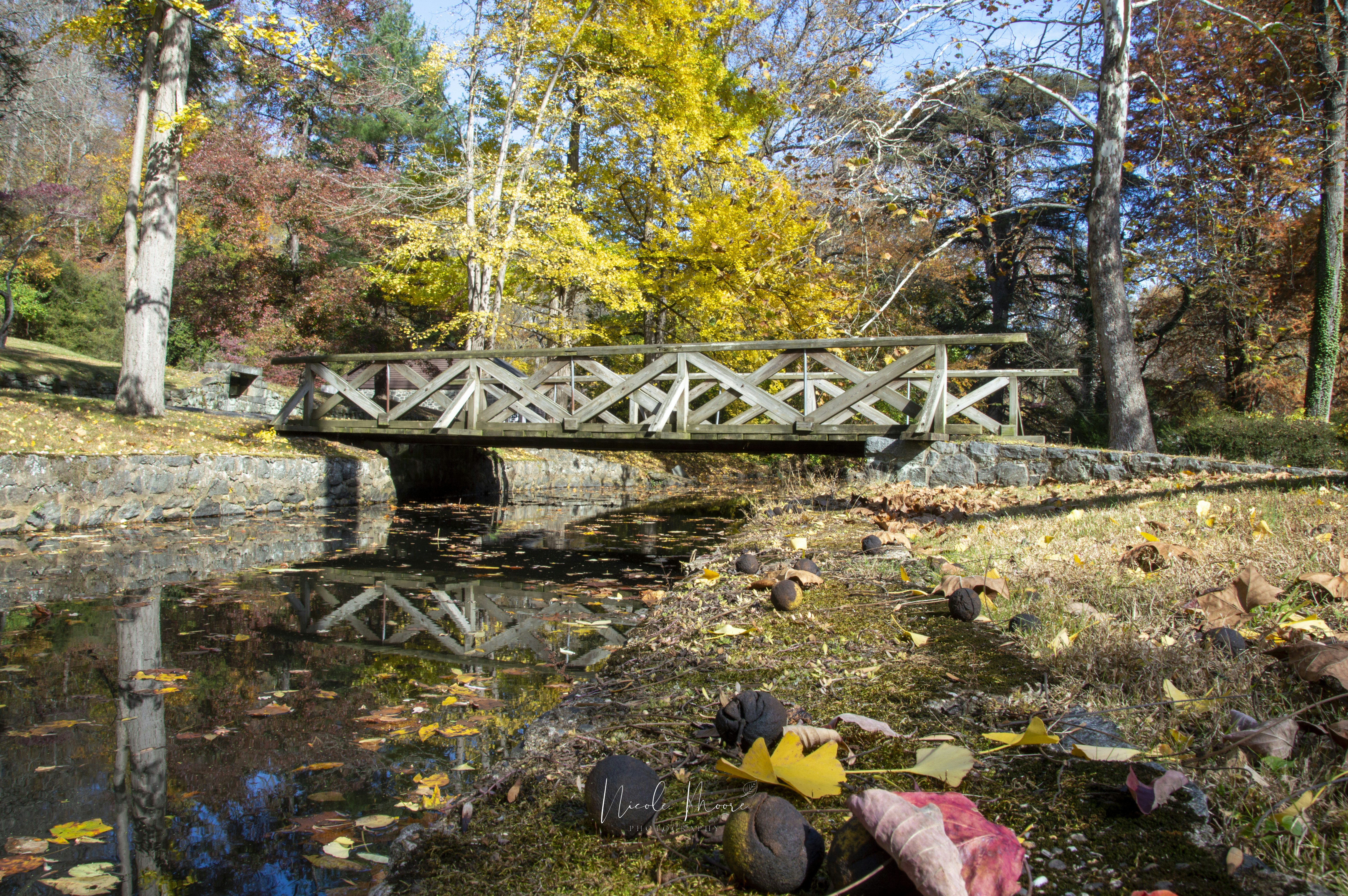 Autumn Bridge in Quiet Reflection