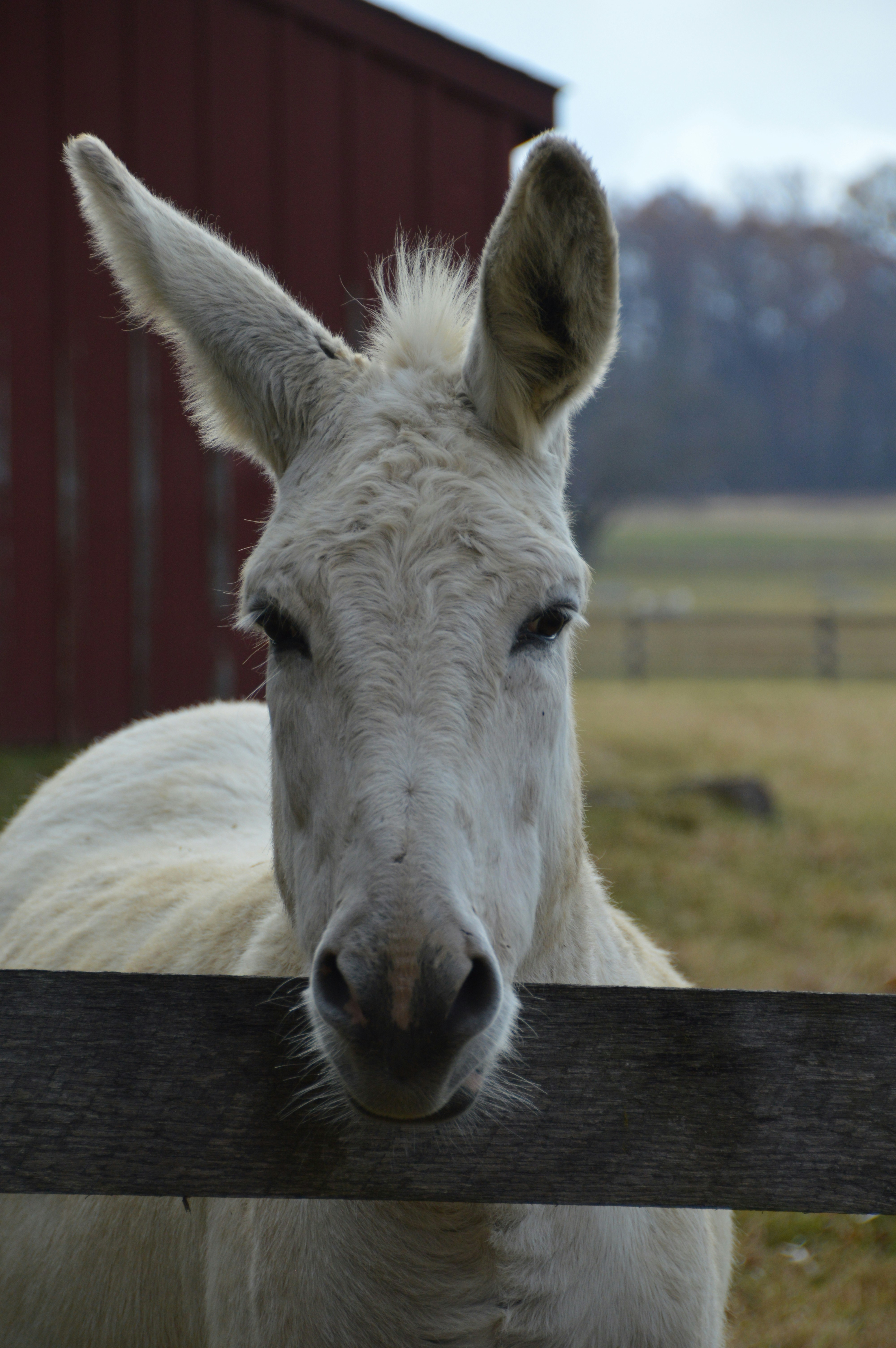 Photo by Nicole Moore with Nikon D3200