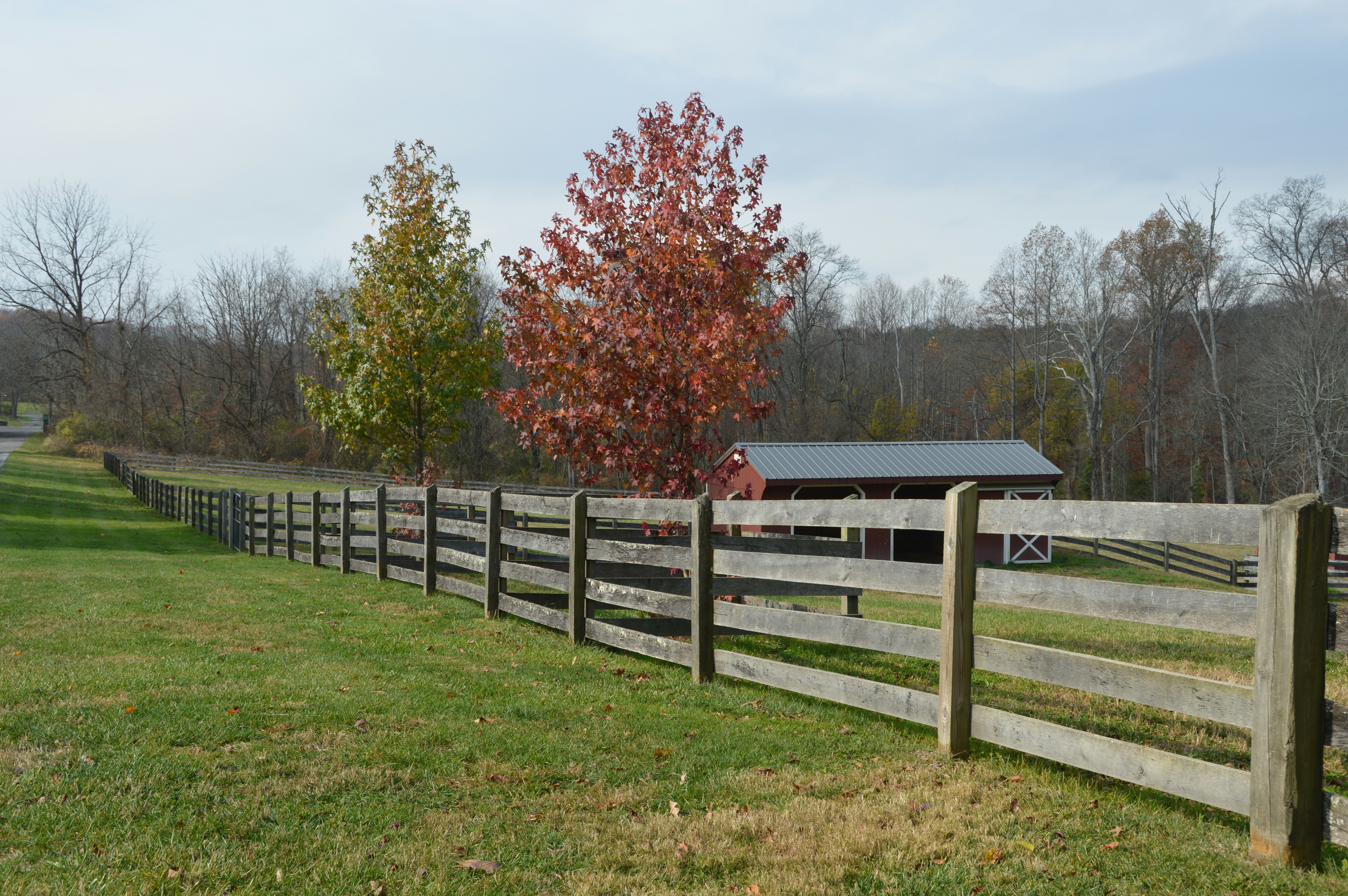 Photo by Nicole Moore with Nikon D3200