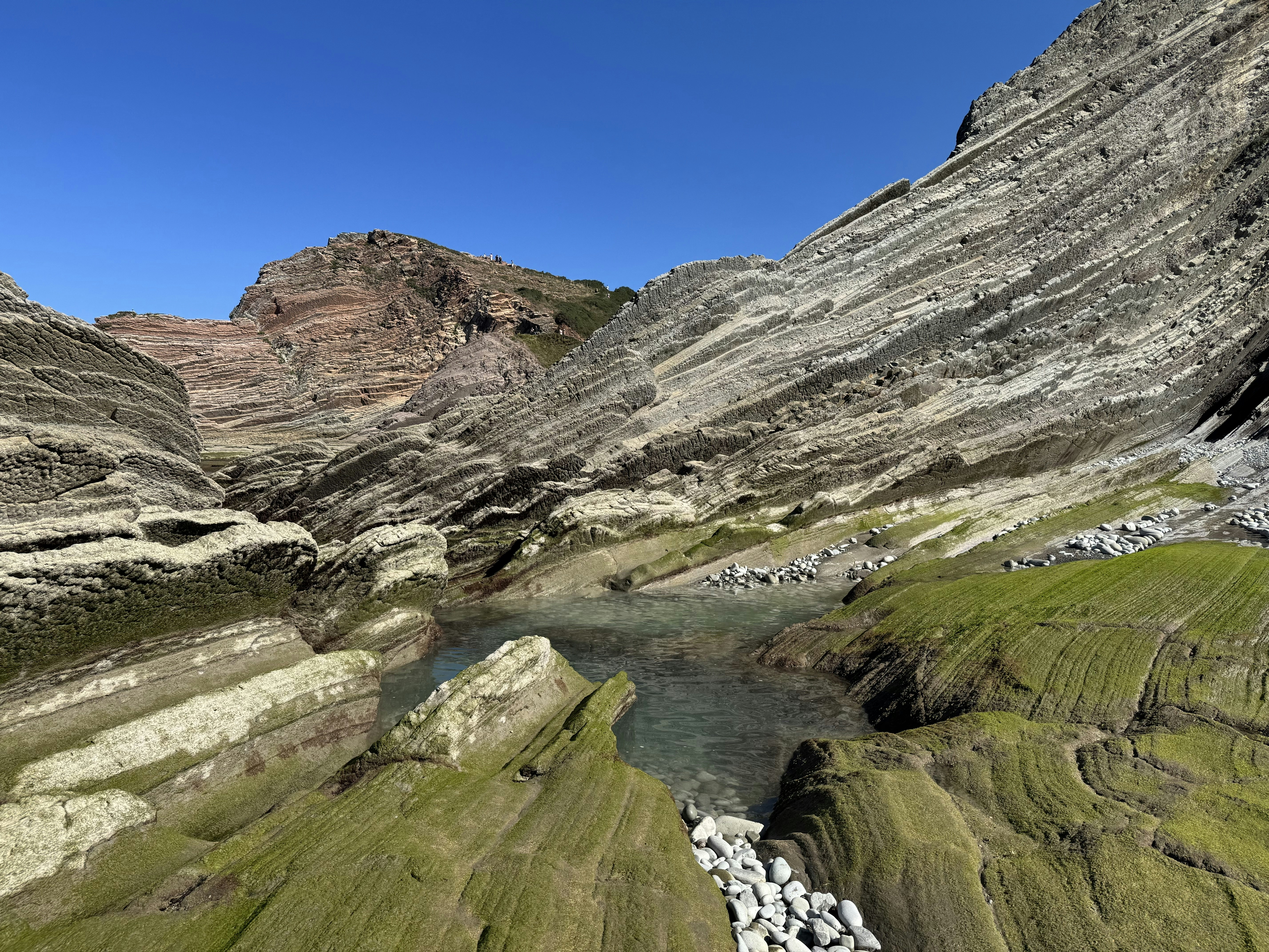 Folded Canyon: Moss-Lined Strata Meet a Quiet River