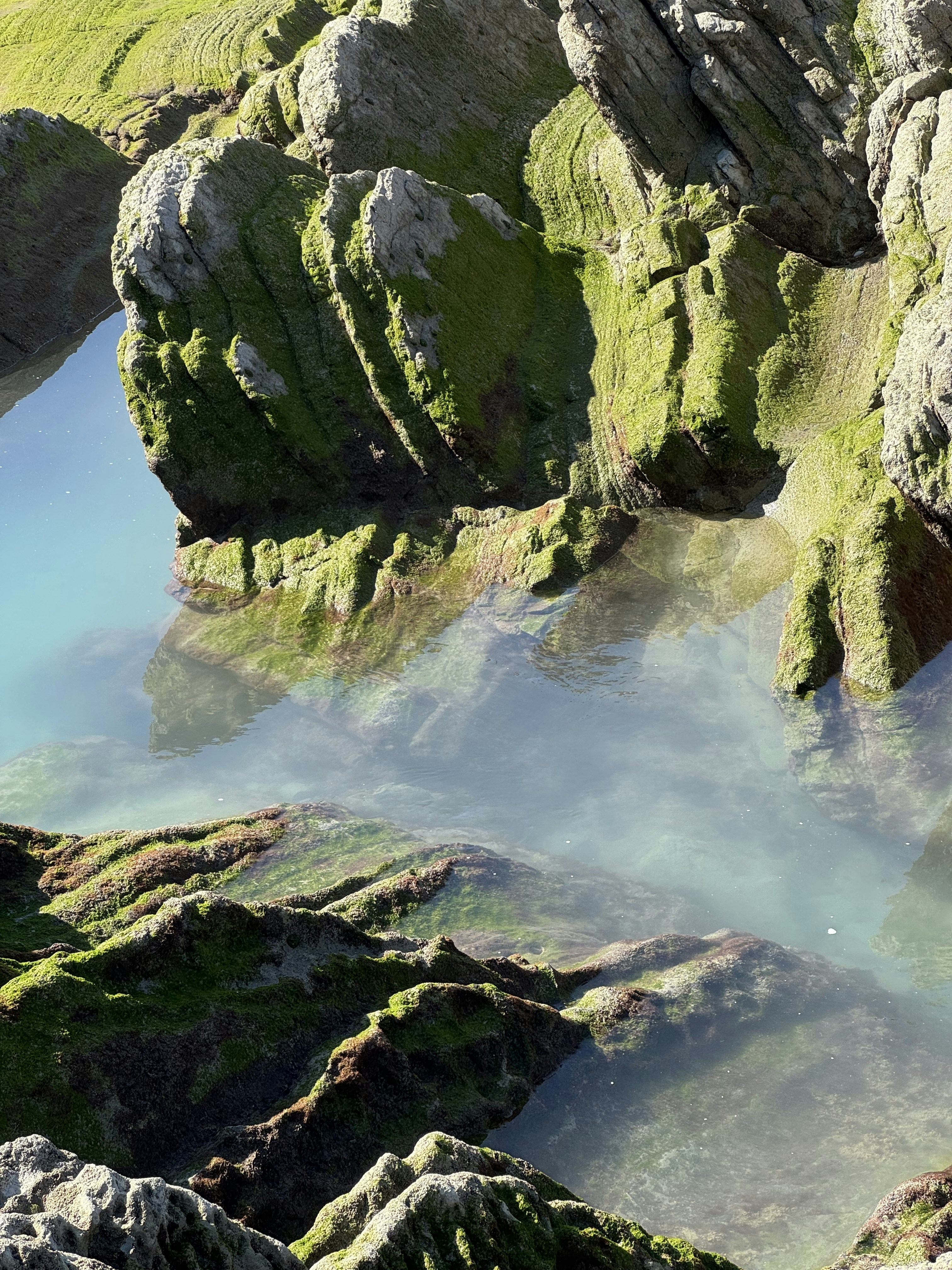 Photo by Daniela Pérez-Duarte with Apple iPhone 15 Pro