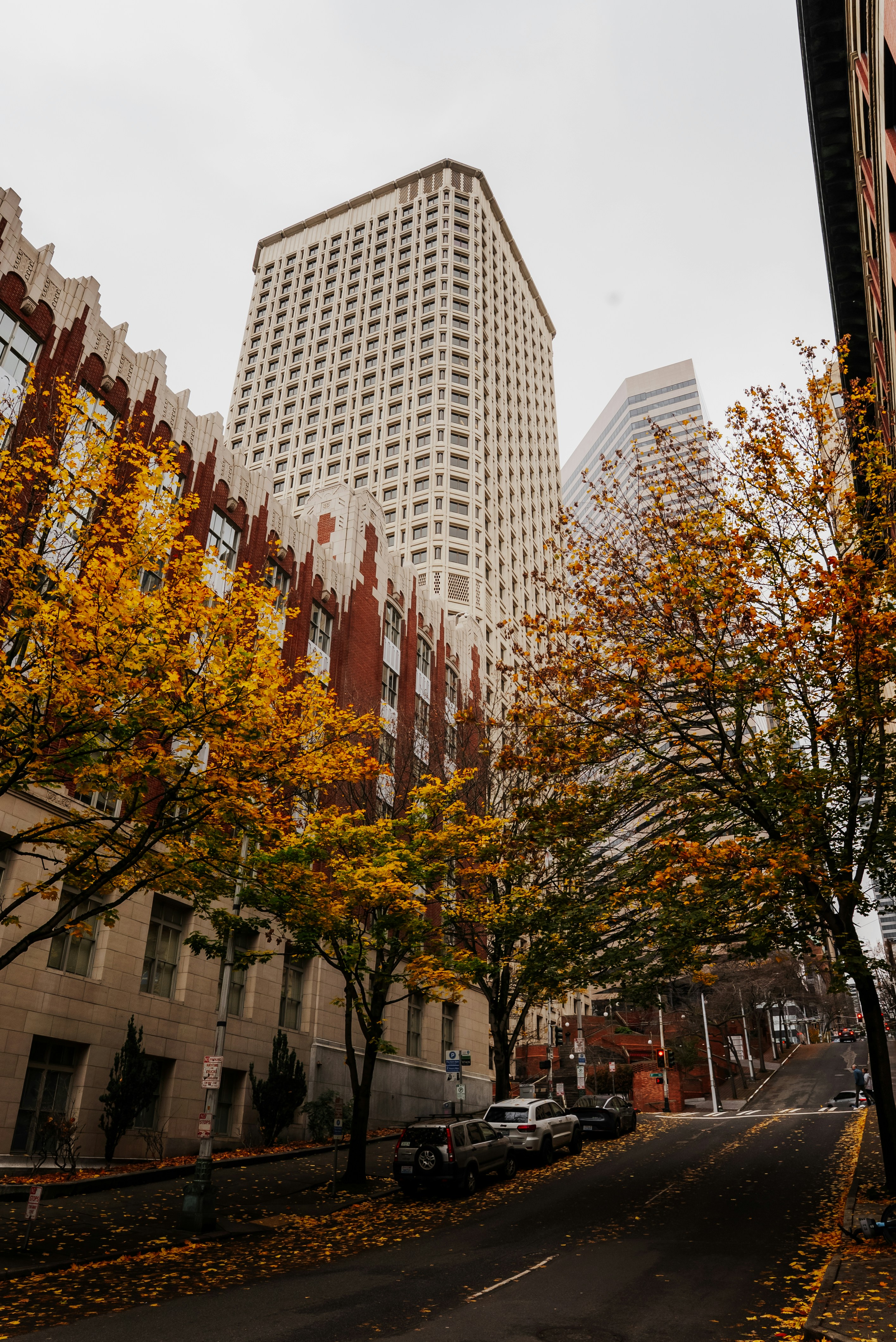 Autumn's Cathedral of Glass: A Narrow Street Between Towers