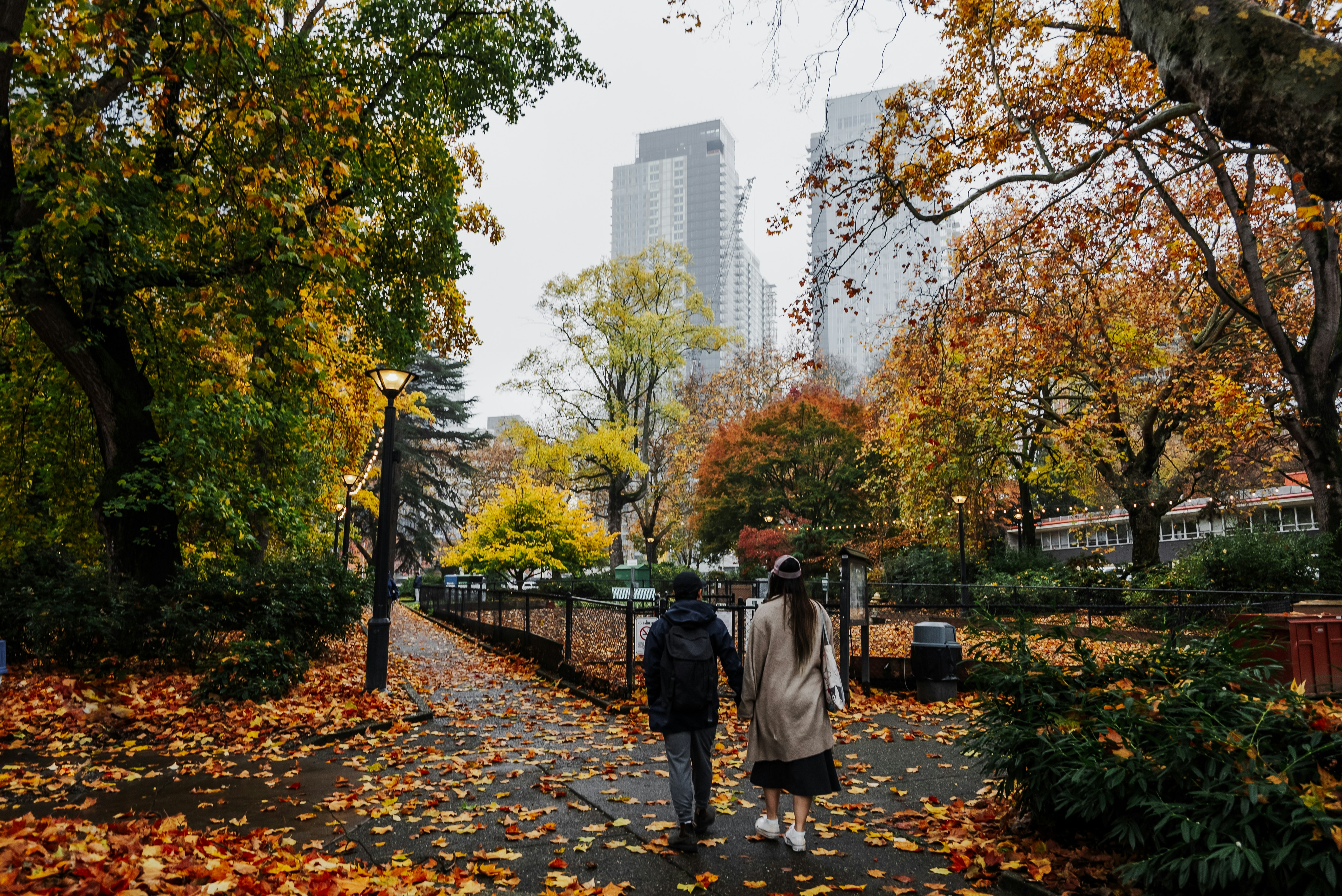 Autumn Stroll Between Golden Canopies and City Towers