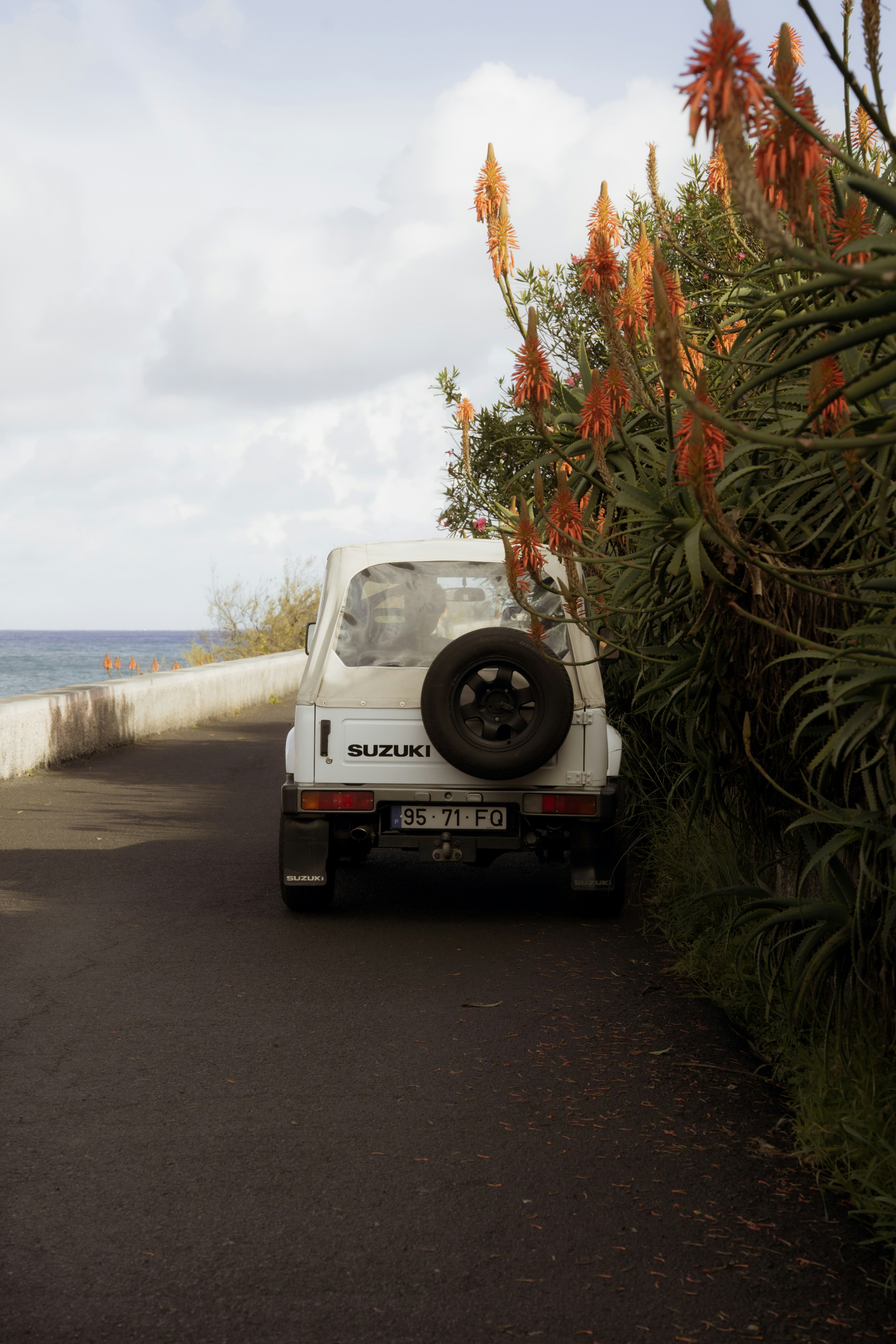 Coastal Stopover: White Suzuki Paused Beside Coral-Red Blooming Foliage
