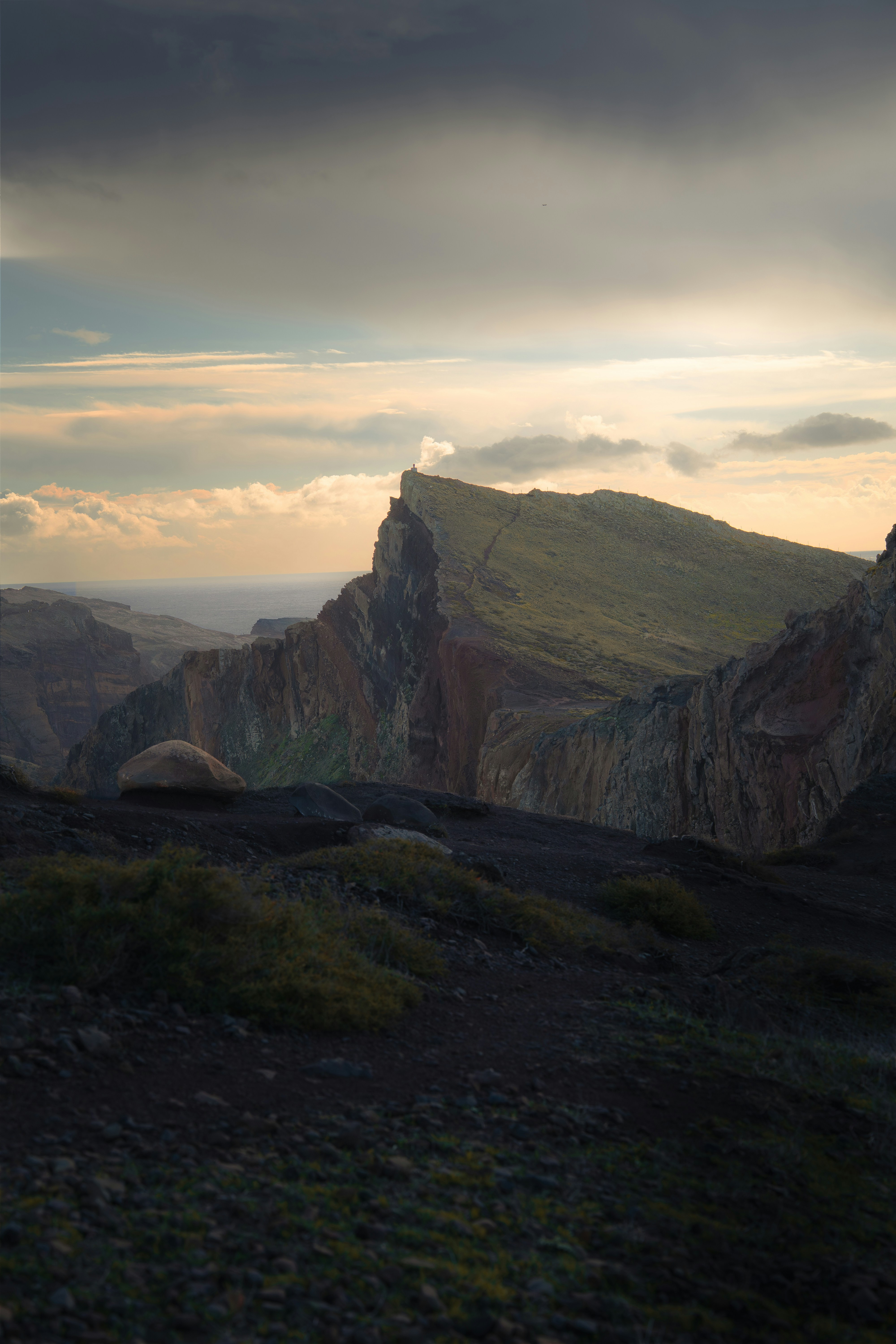 Photo by Andrei R. Popescu with Sony Alpha 7 III