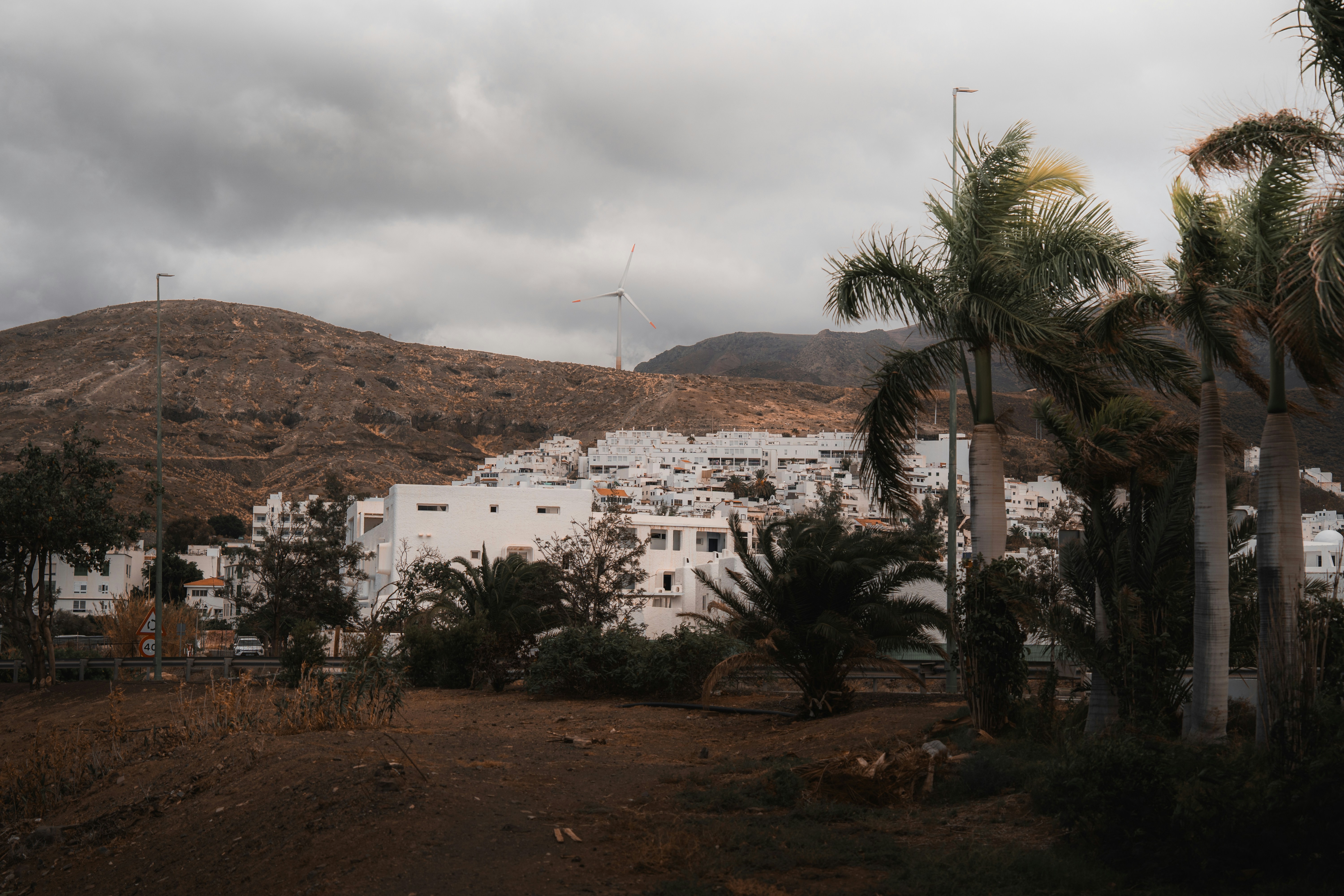 Photo by Andrei R. Popescu with Sony Alpha 7 III