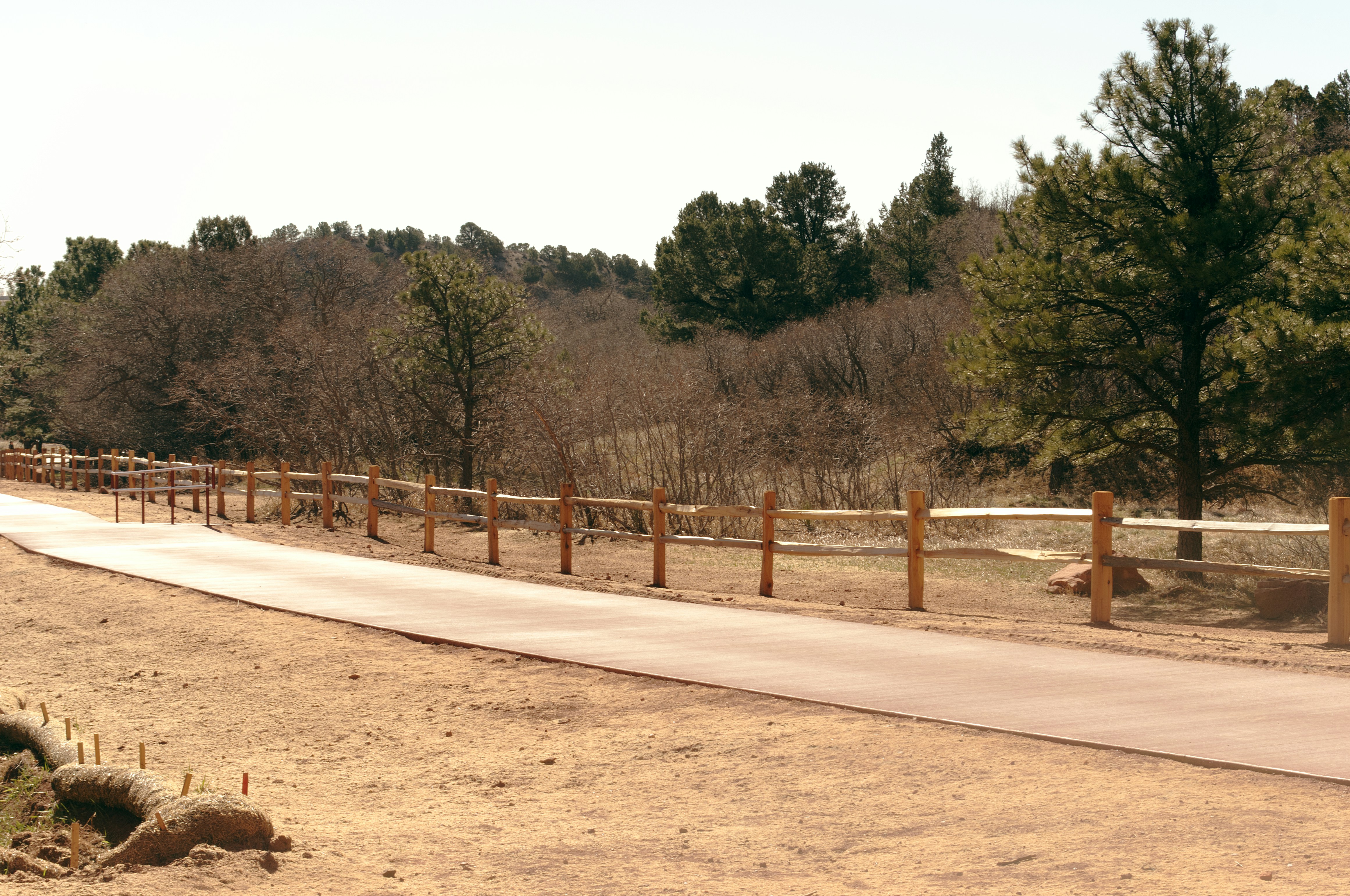 Sunlit Park Path: The Wooden Fence Guides the Eye Through a Quiet Dry Meadow