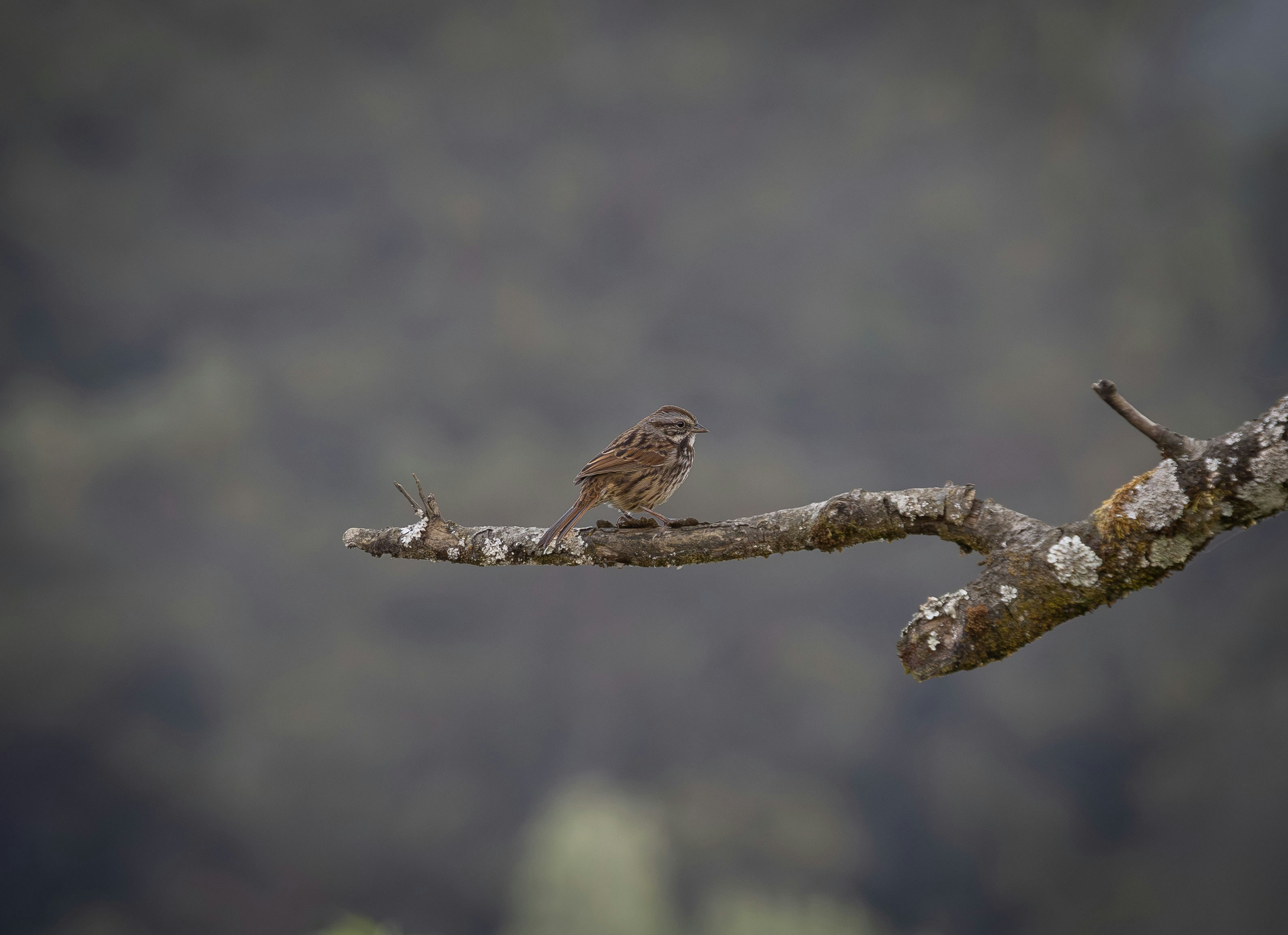 Photo by Alfonso Betancourt with Canon EOS R