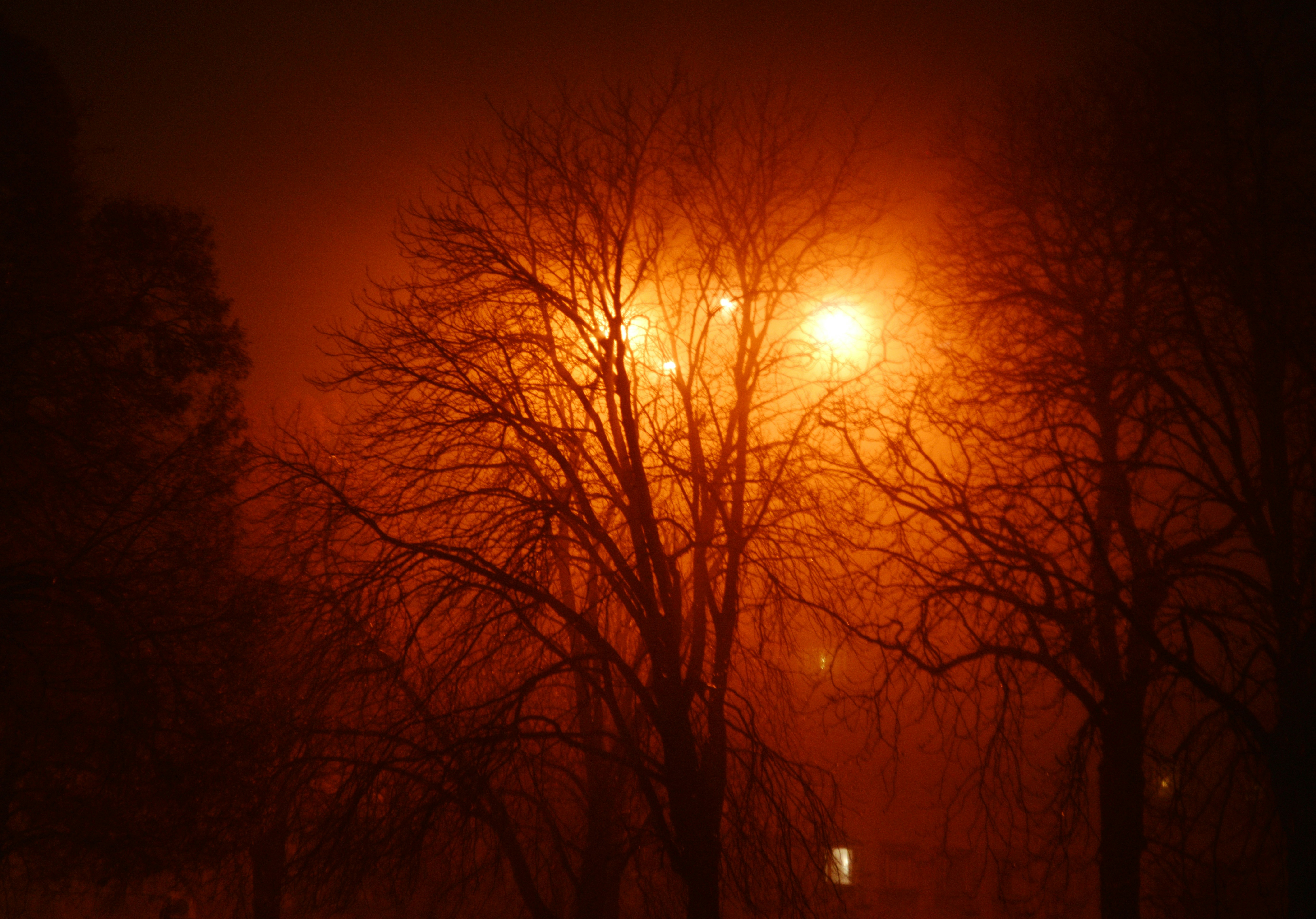 Photo by Liana S with Nikon D600