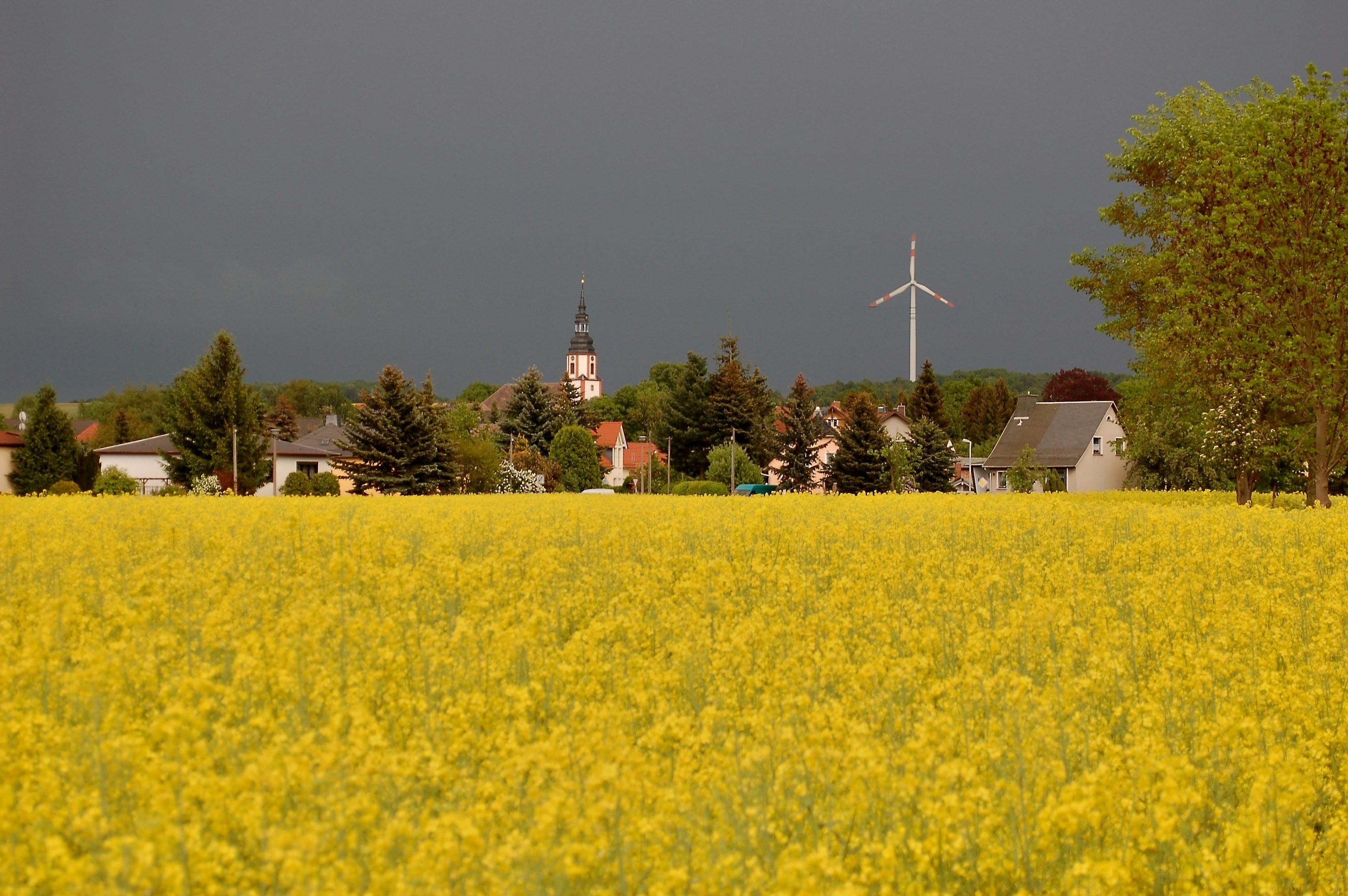 Vor dem großen Gewitter...