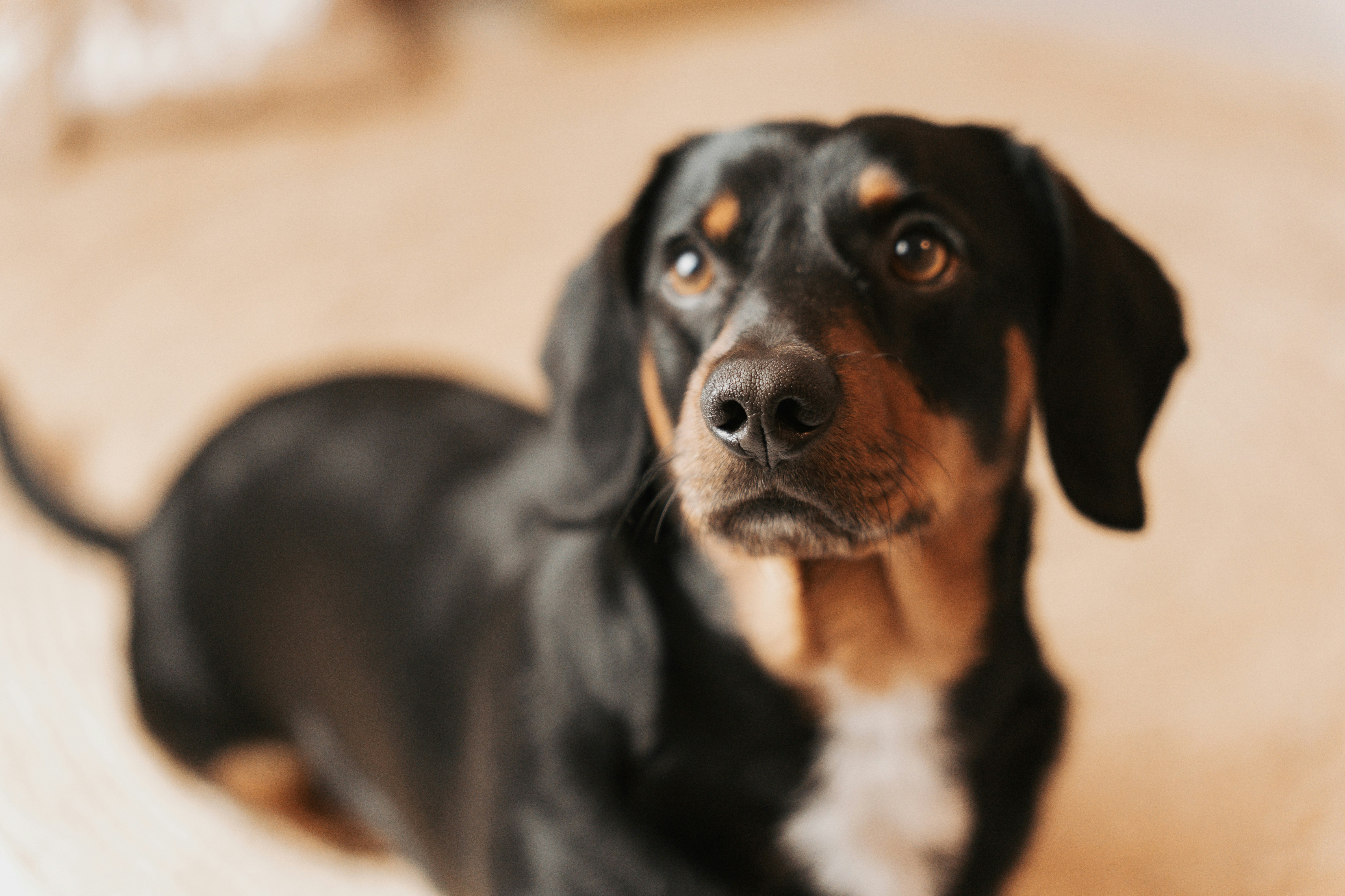 Photo by Anna Spoljar with Sony Alpha 7 III