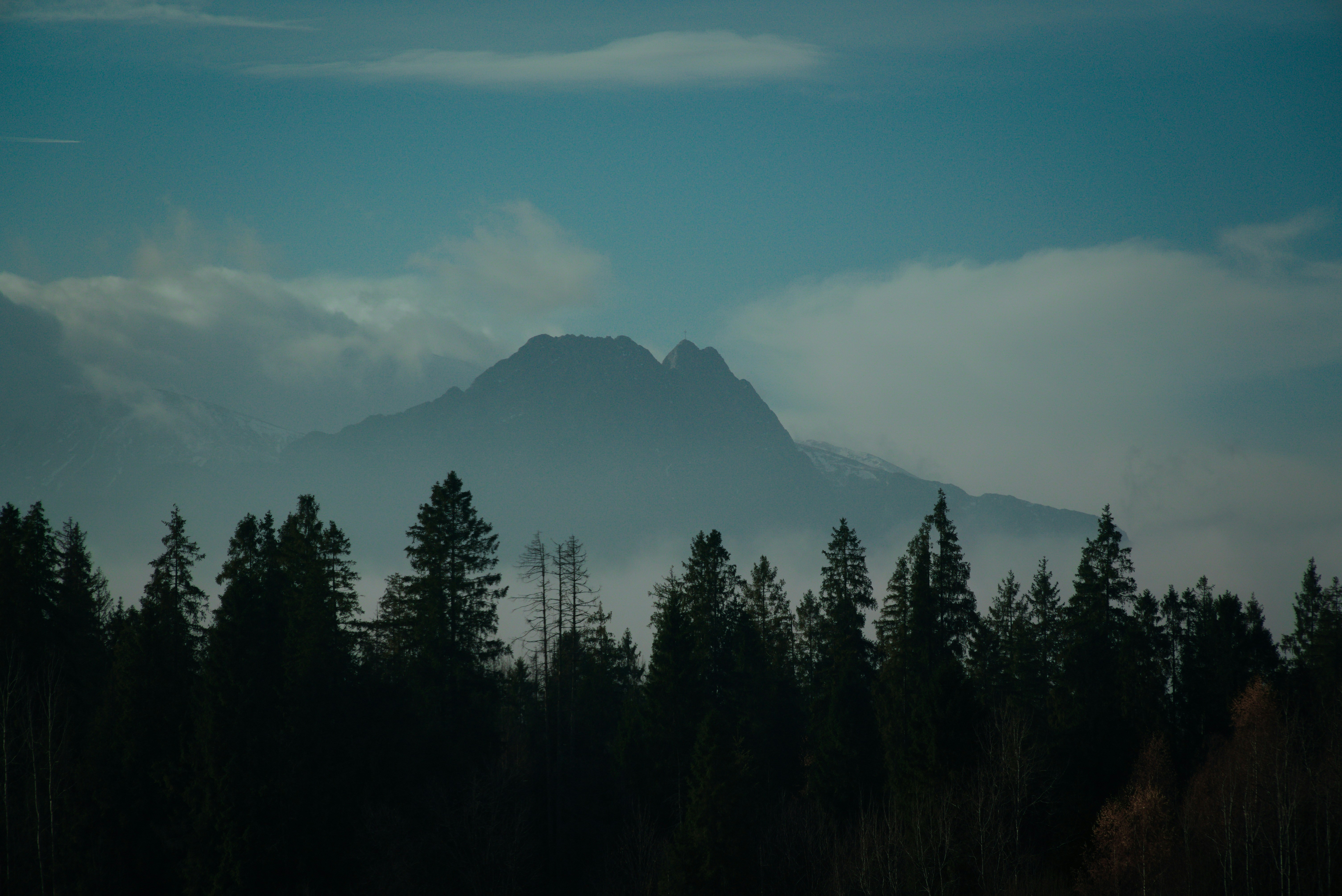 Photo by Jan Ryszka with Sony Alpha 6300