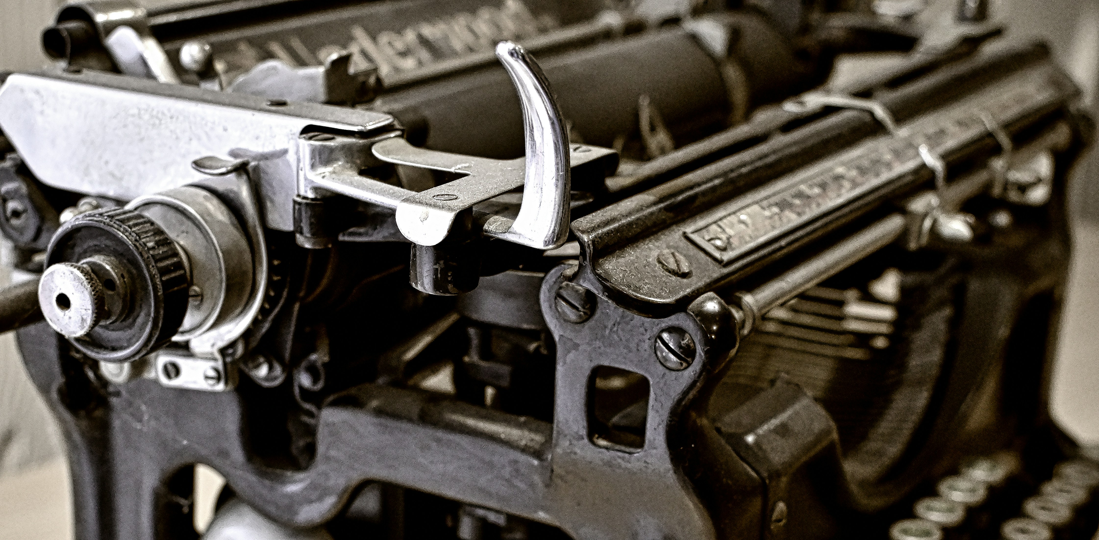 Photo by Dennis McKinnon with Nikon Z7