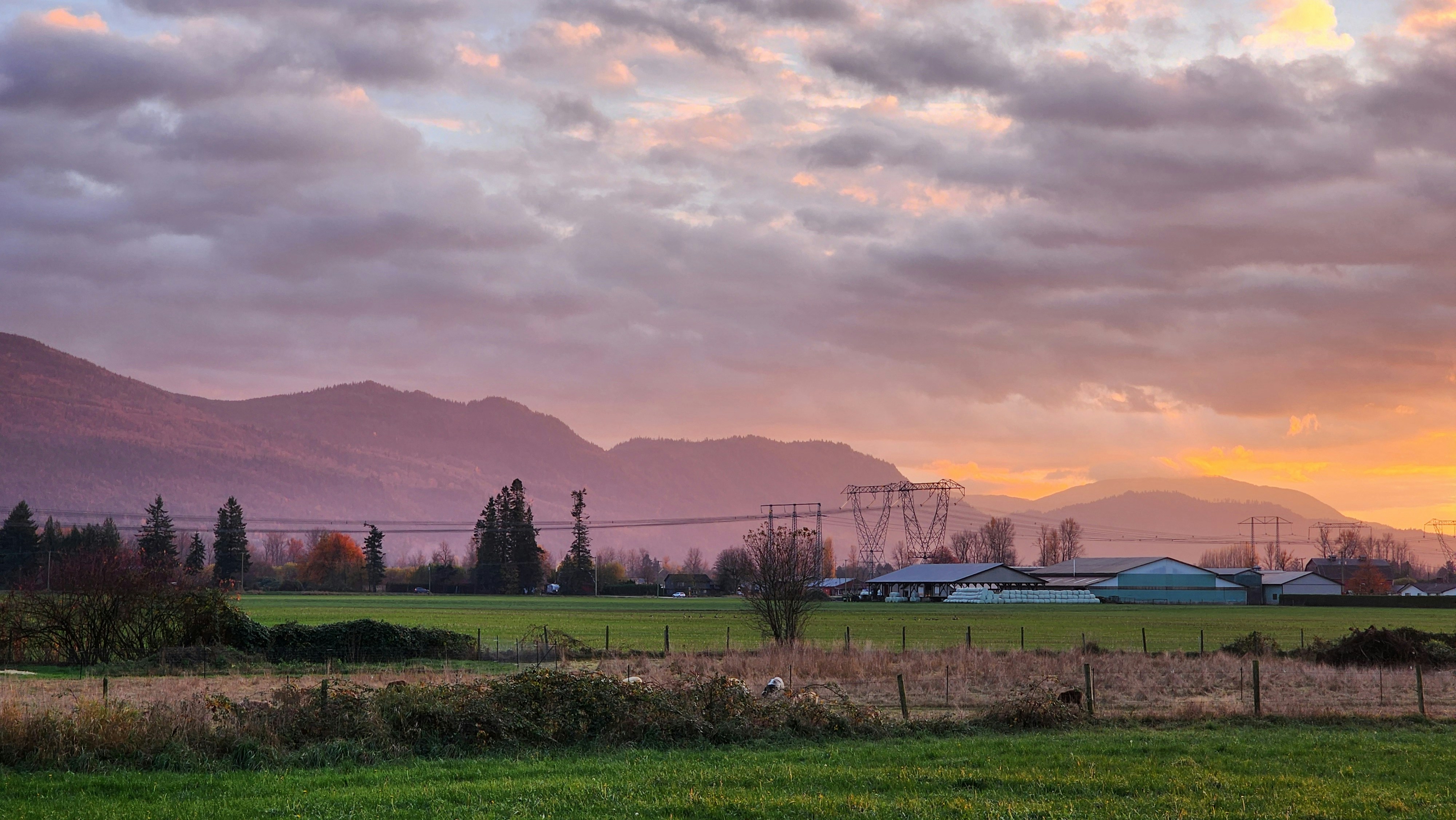 Photo by Emlen Petey with Samsung Galaxy S22 Ultra