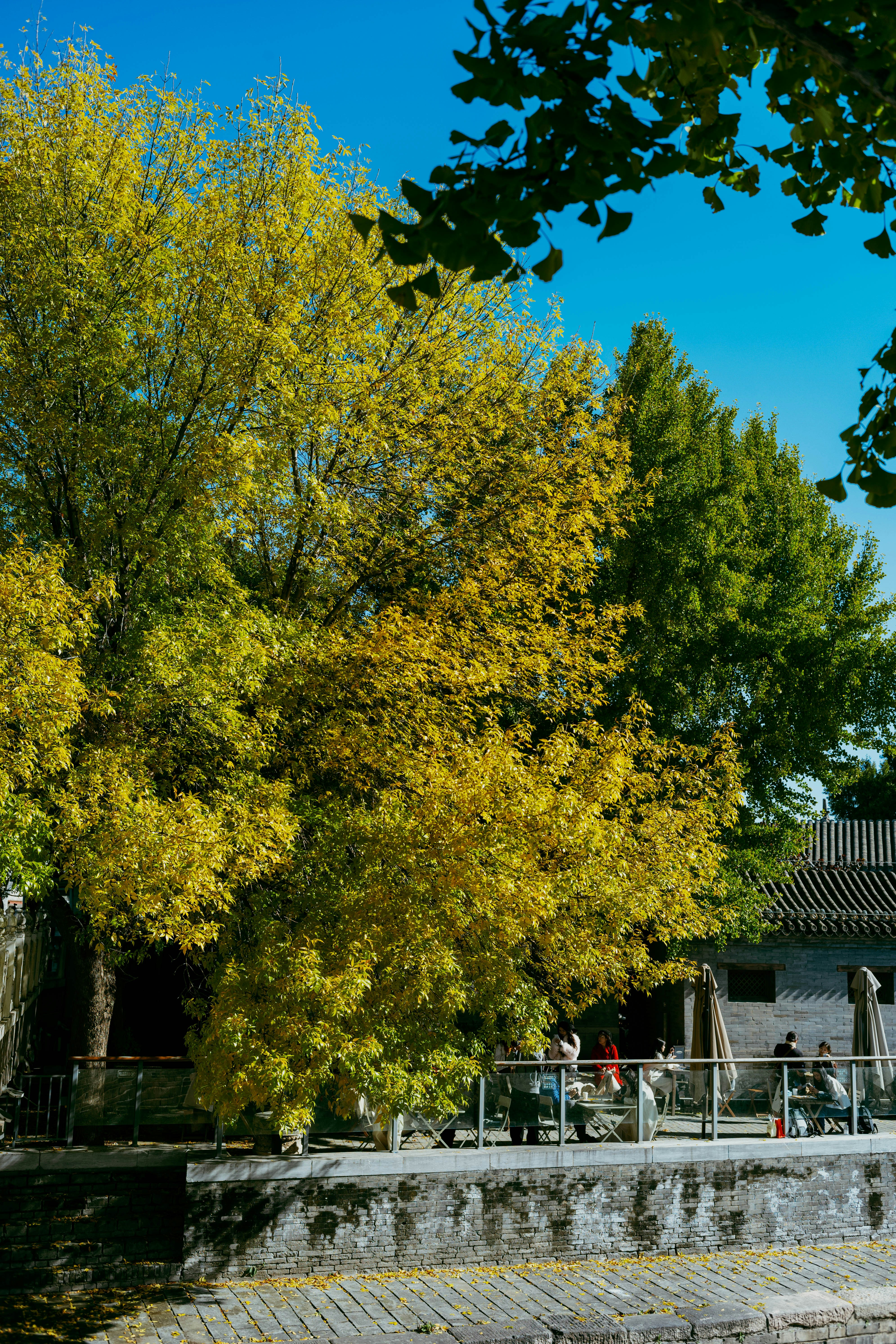 Photo by tommao wang with Leica M10-P